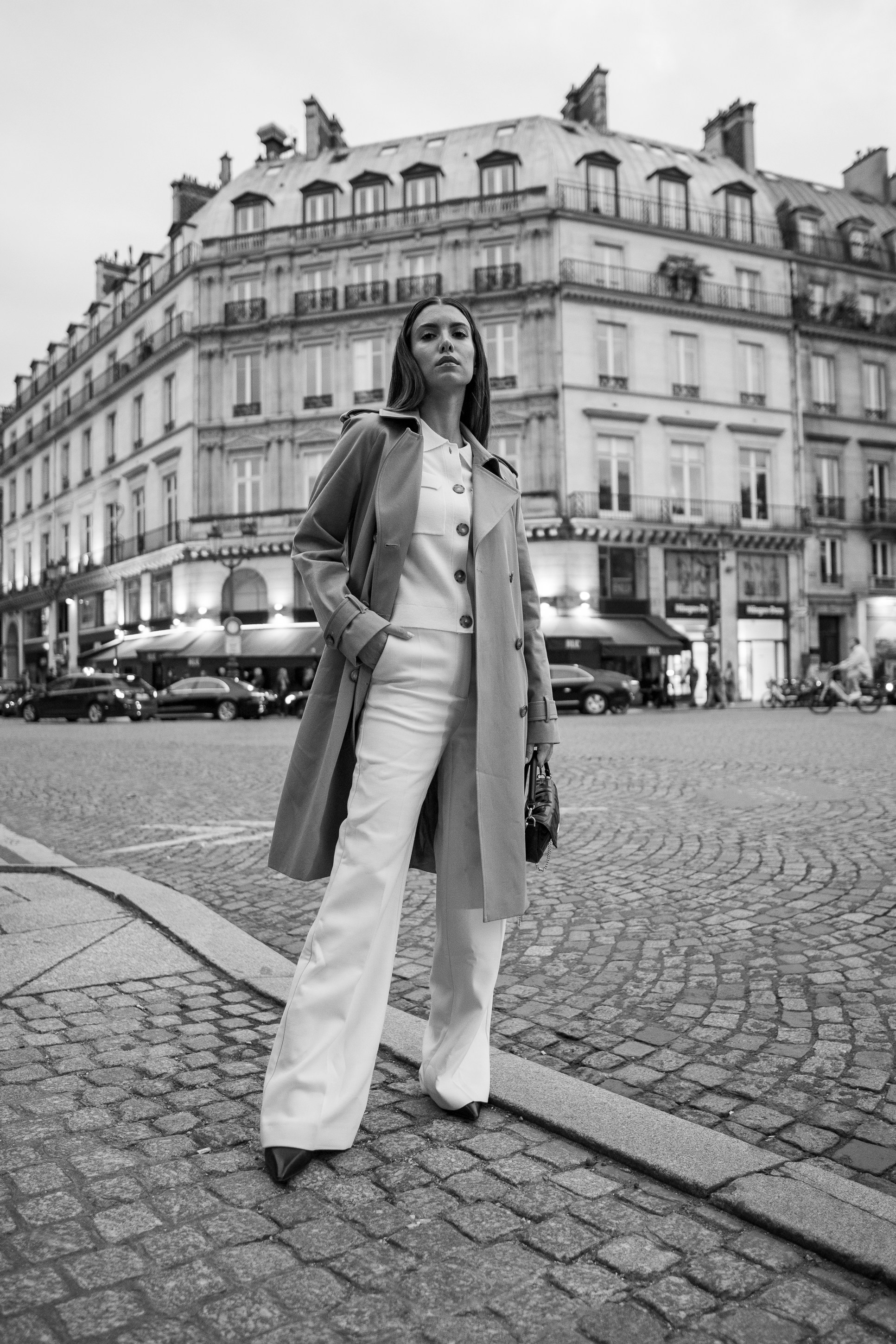 Urban Elegance in Monochrome: A City Snapshot