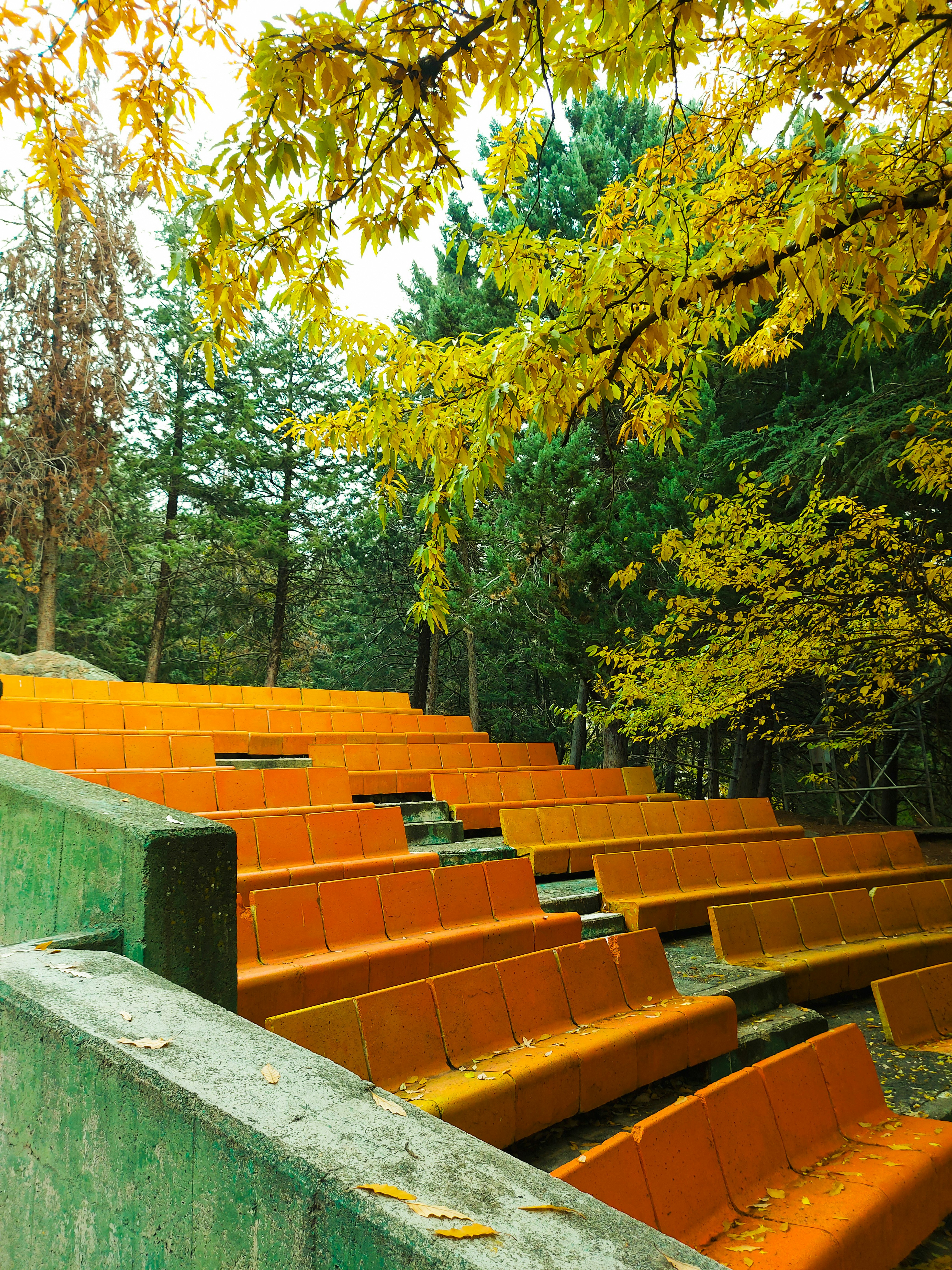 Rows of orange bench in a park in north Tehran