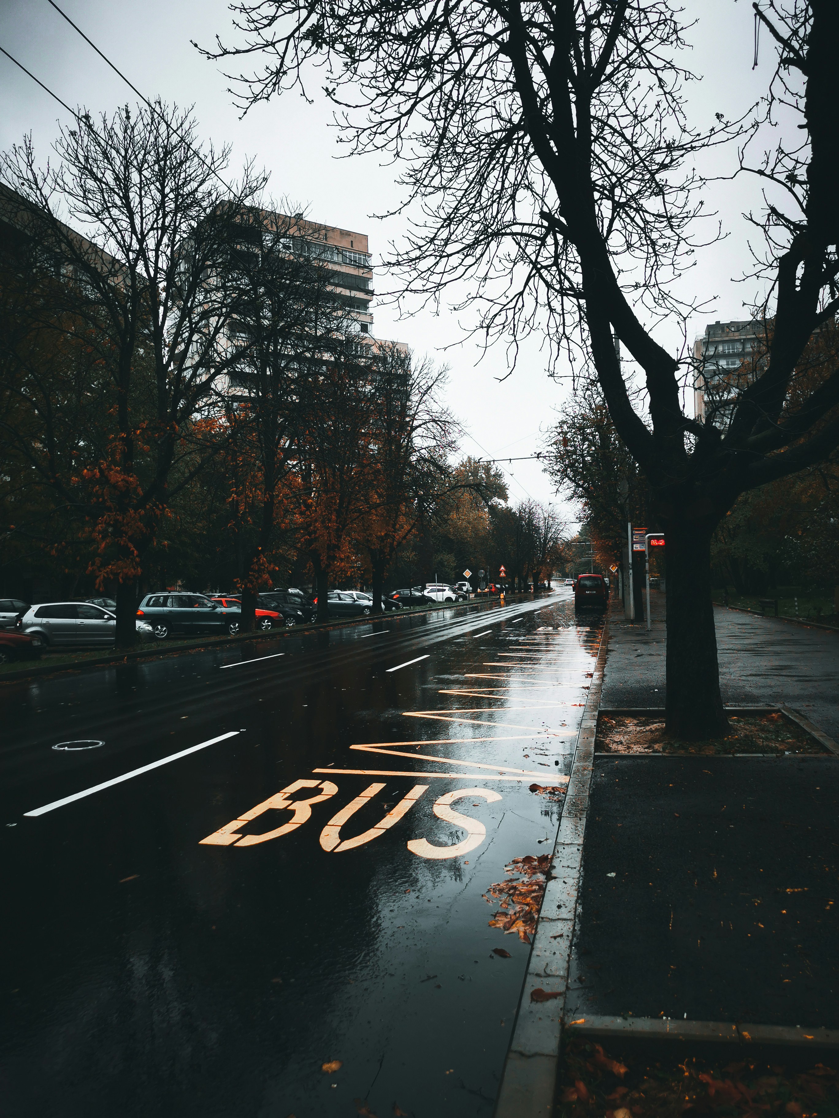 Glassy Street Corridor: Rain-Slick Road Toward a Quiet City Vanishing Point