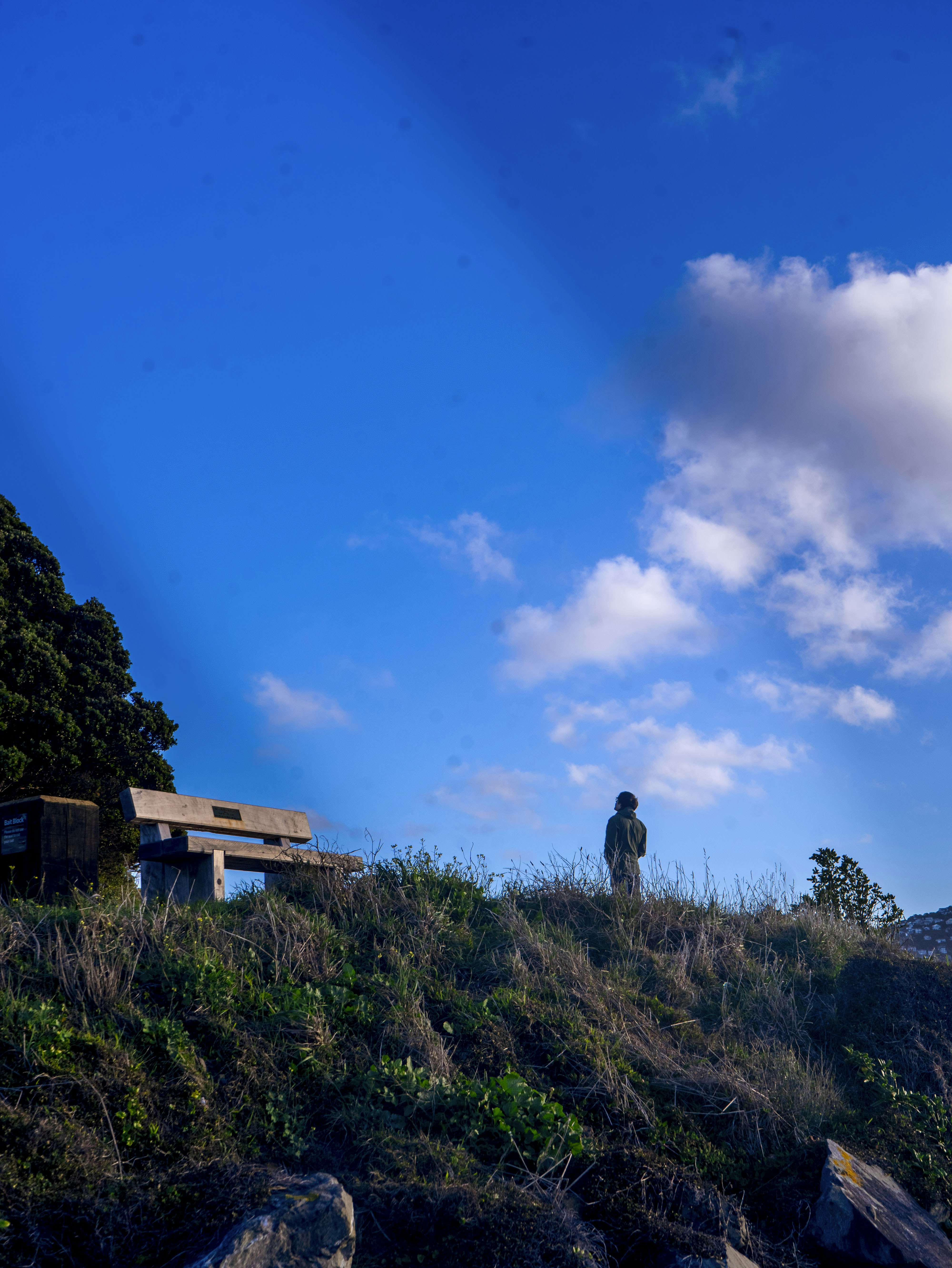 Solitary Figure on a Ridge Under a Cerulean Sky