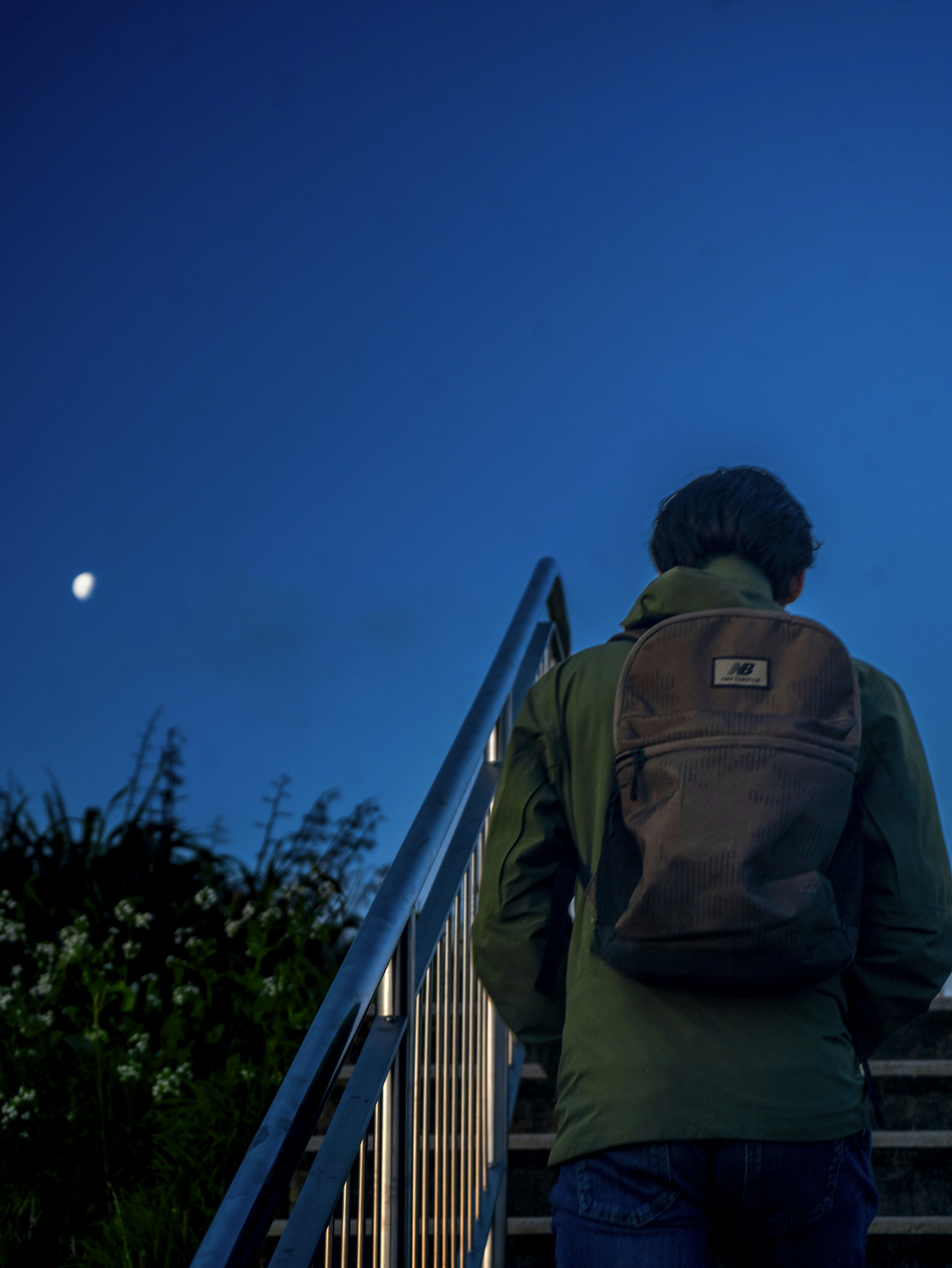 Evening Ascent: A Moment Glimpsed on the Stairs