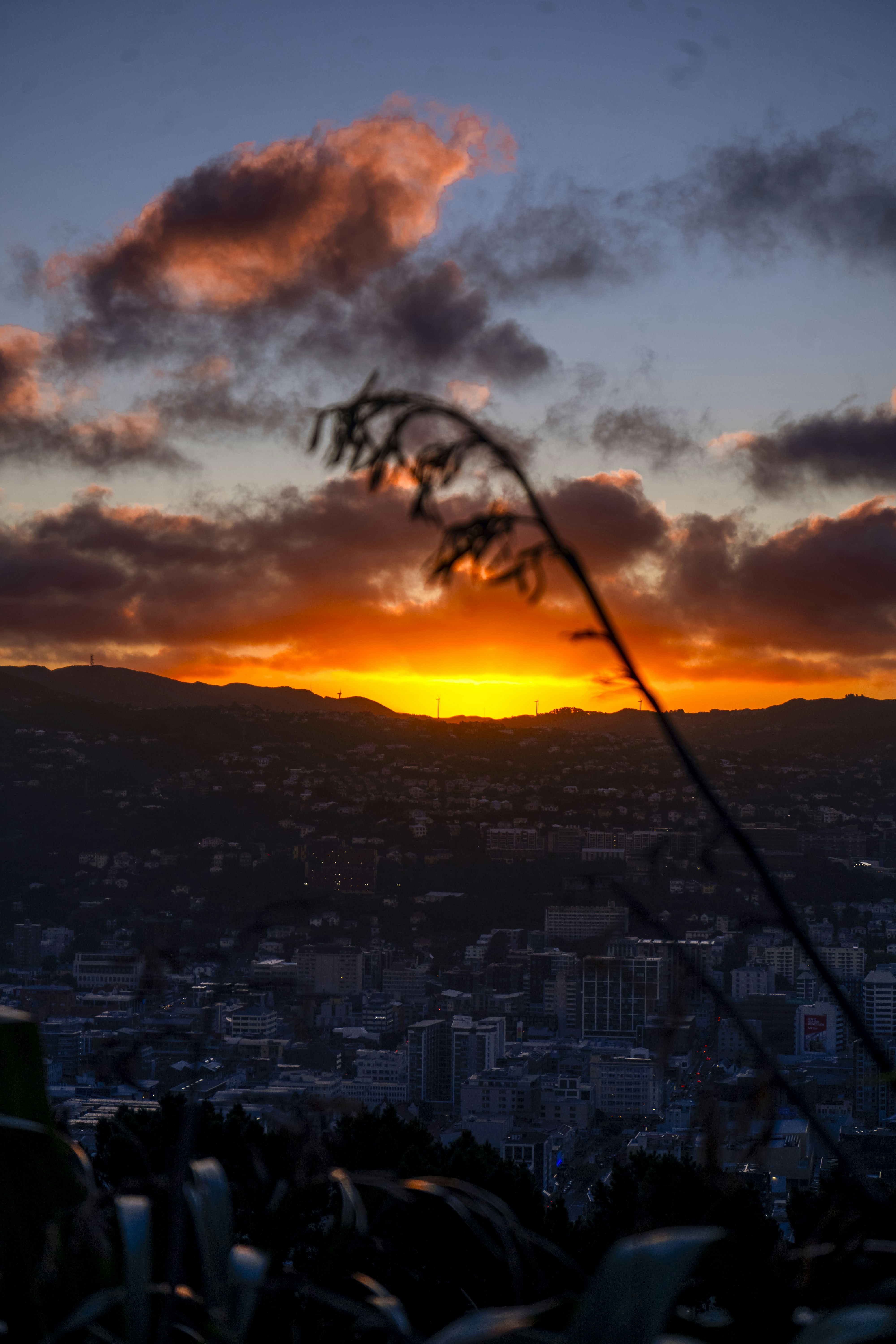 Sunset Over a Veiled City
