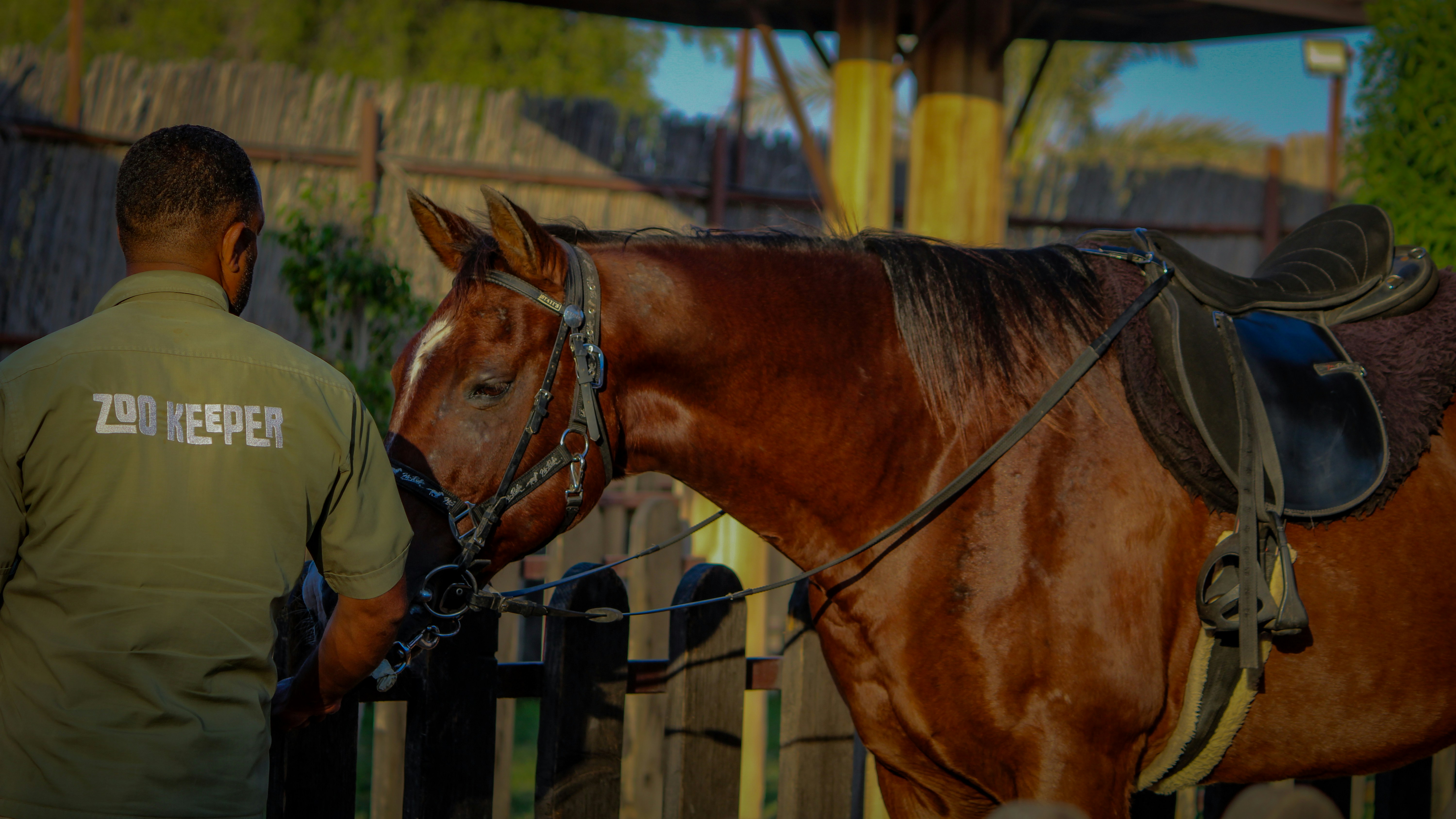 Photo by Abdullah Azeez with Canon EOS 2000D