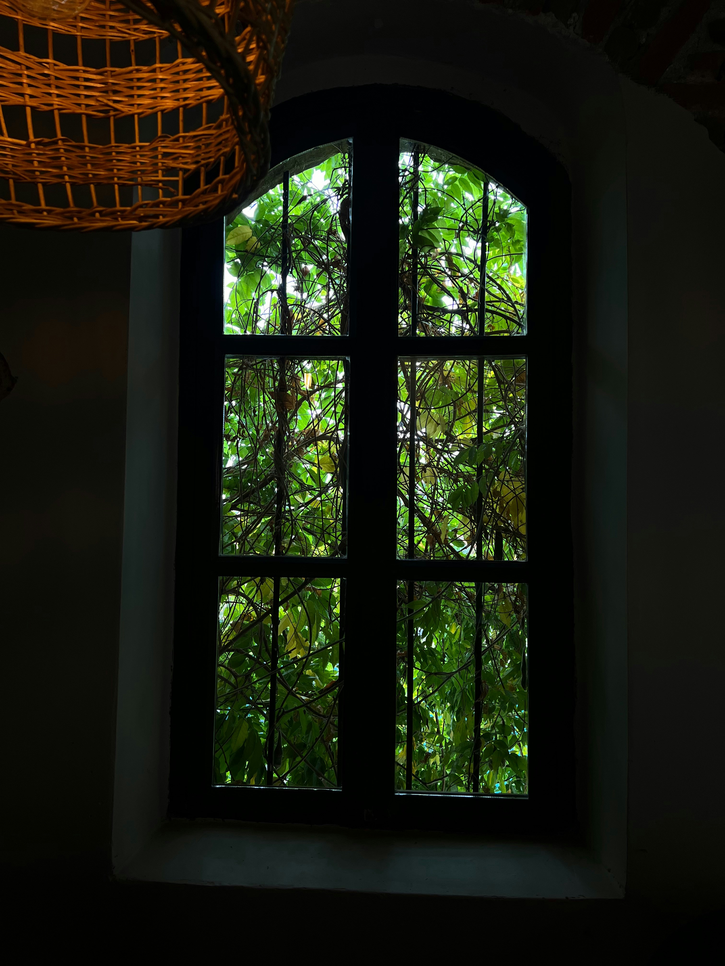 Photo by Aldo Ibraj with Apple iPhone 13 Pro Max