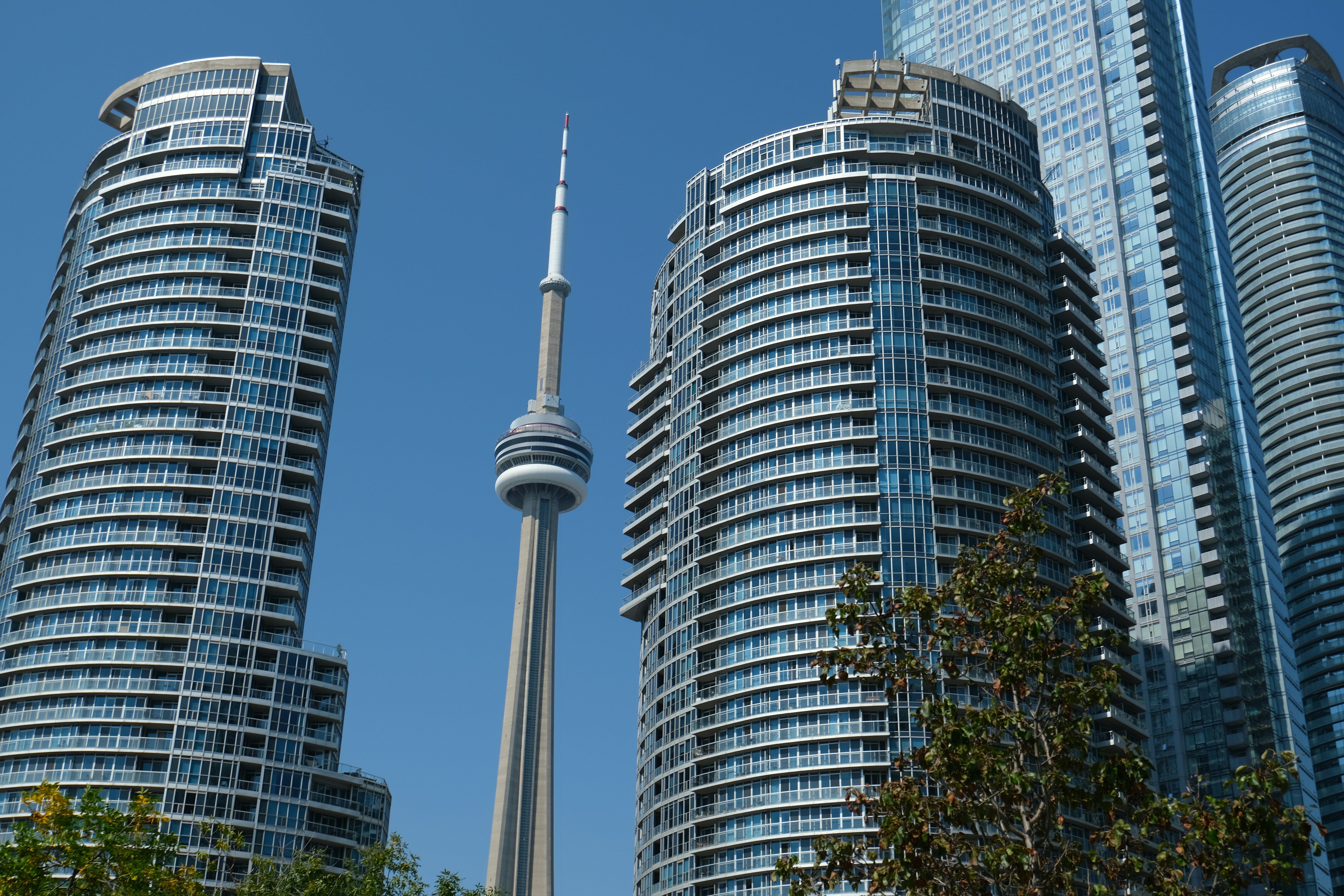 CN Tower Between Glass Giants: A Toronto Skyline Portrait