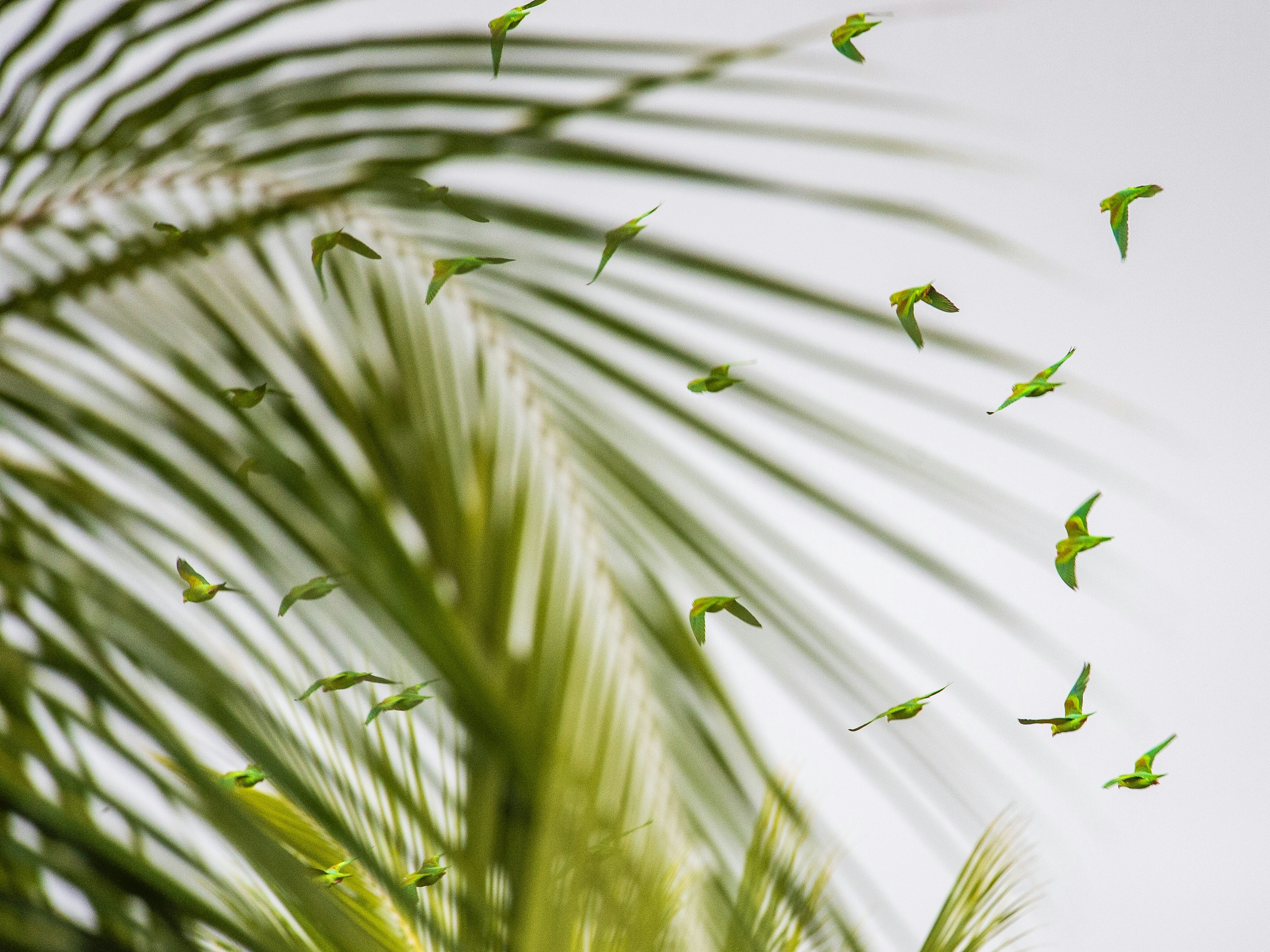 Photo by Ricky Beron with Nikon Df