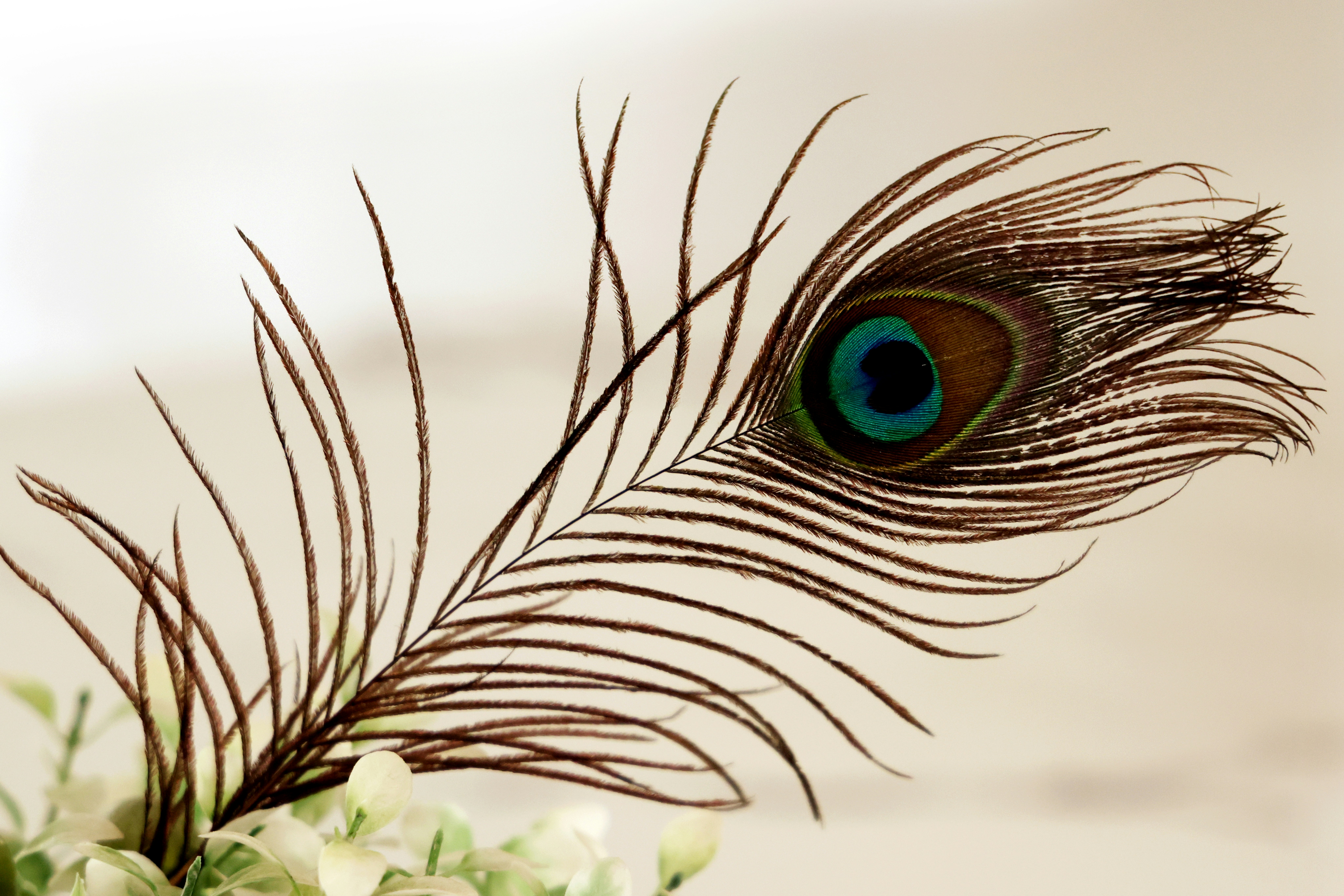 Photo by deep bhullar with Canon EOS R5