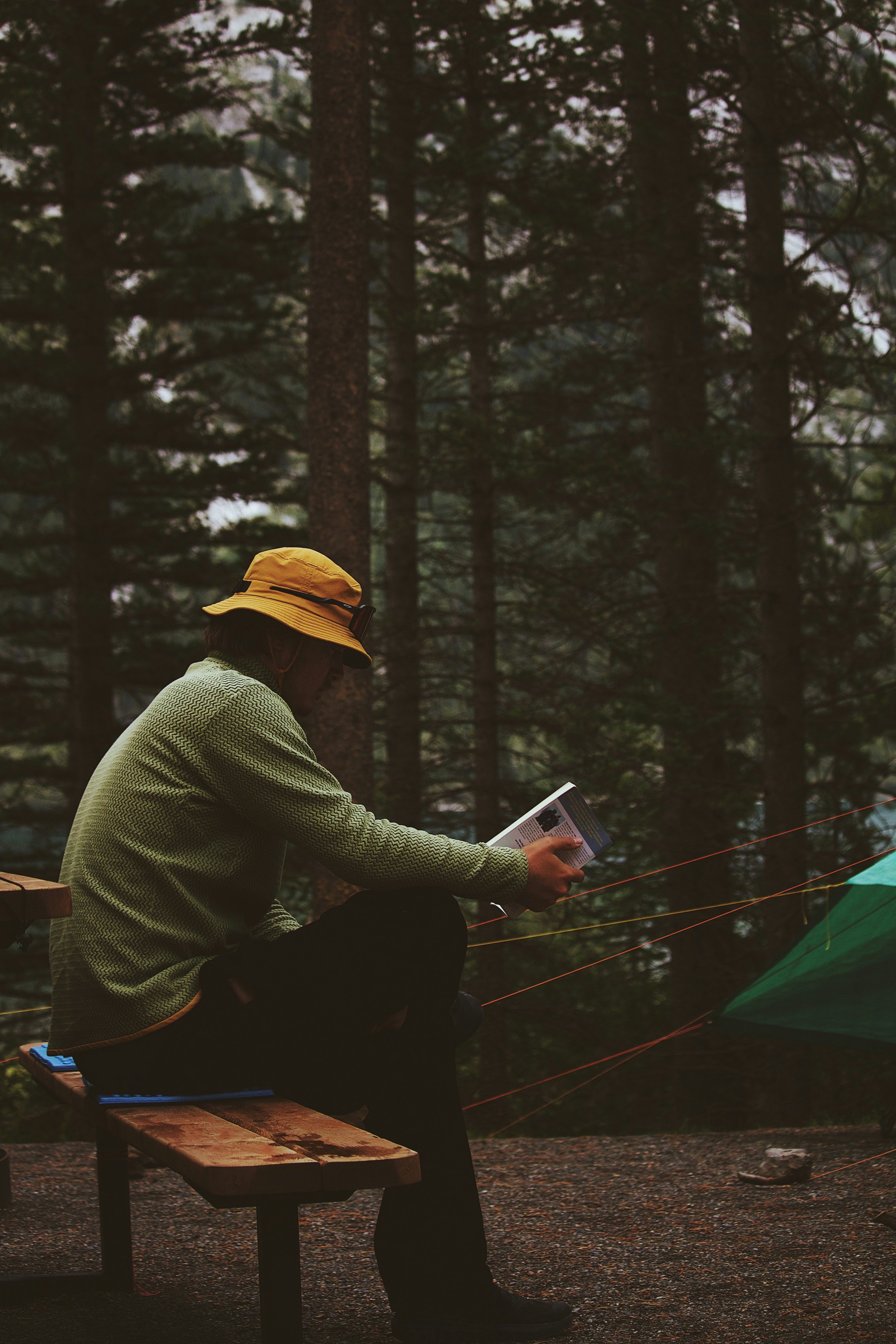 Forest Camper Reading by the Campfire Edge
