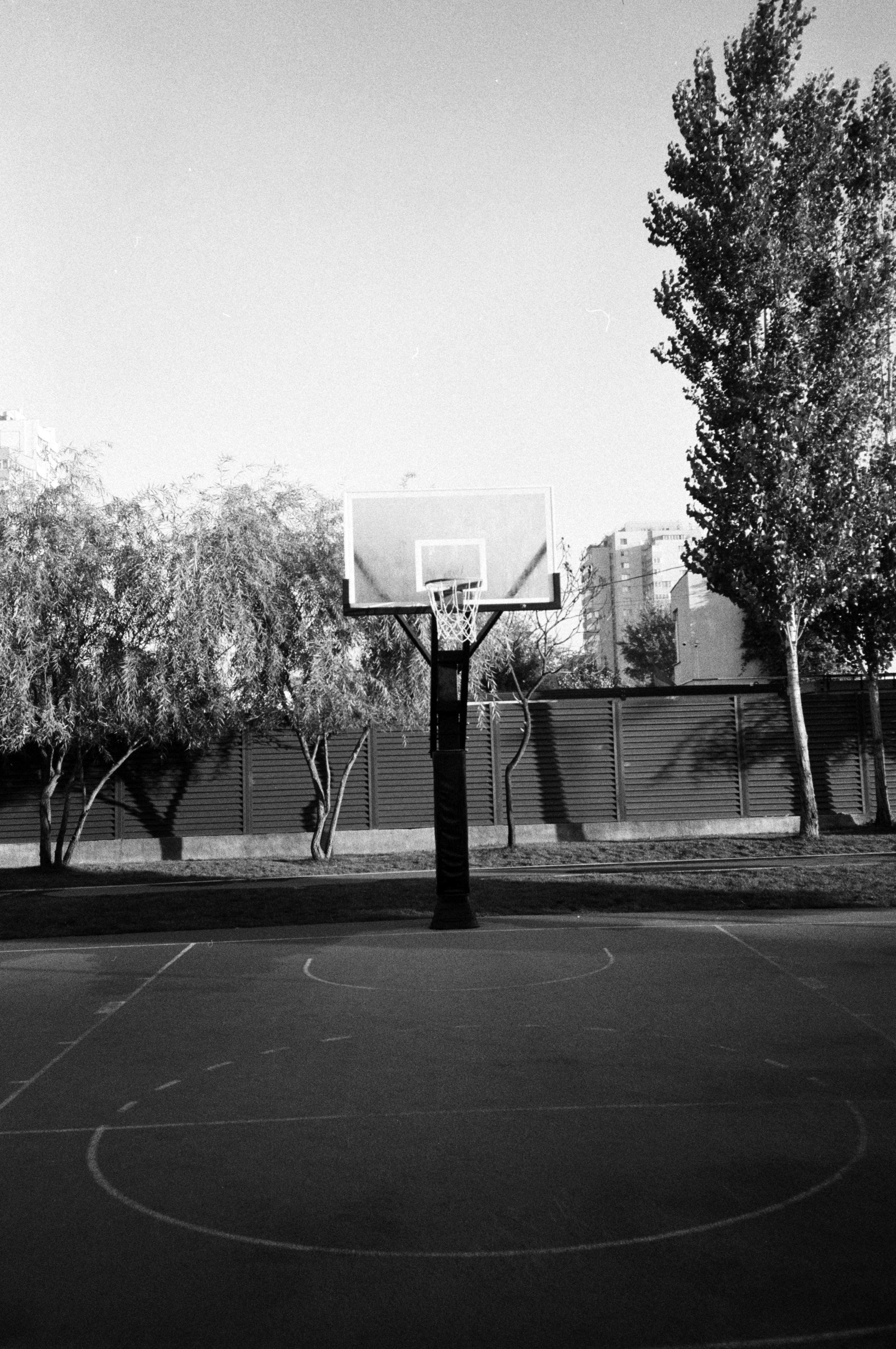 Sample photo from Fujifilm SP500