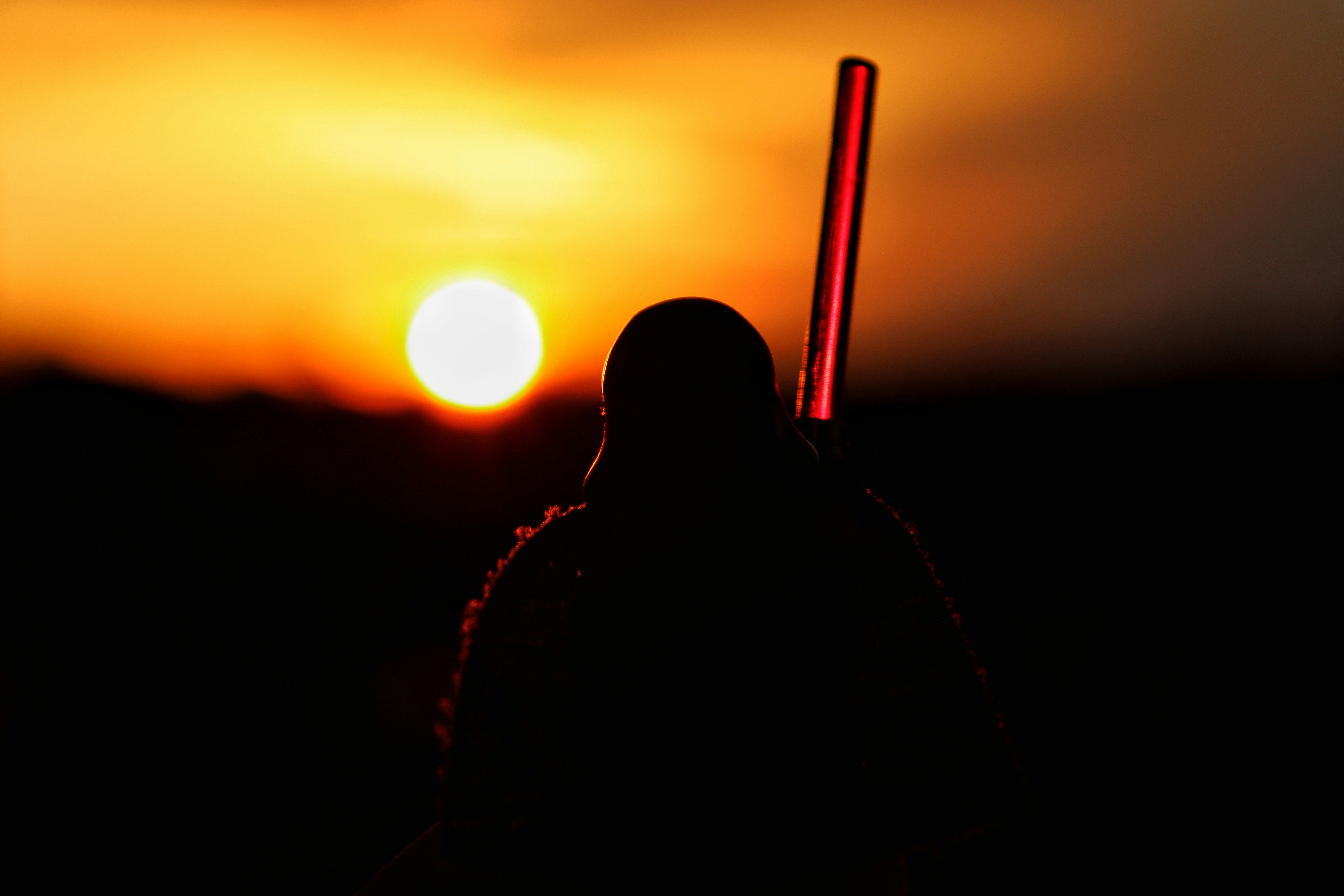 A person holding a baseball bat at sunset
