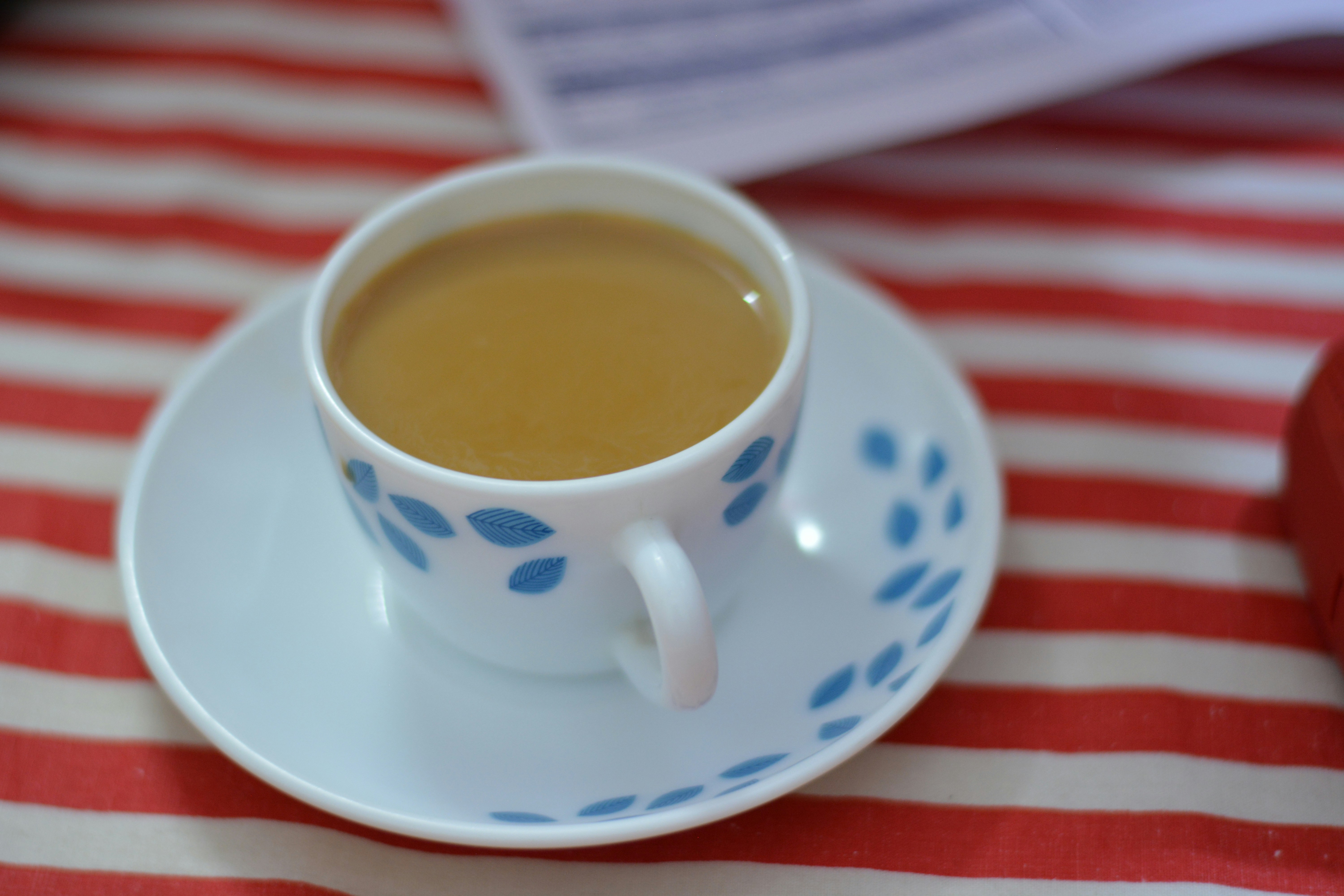 Blue-Leaf Cup on Red Stripes: a Quiet Morning