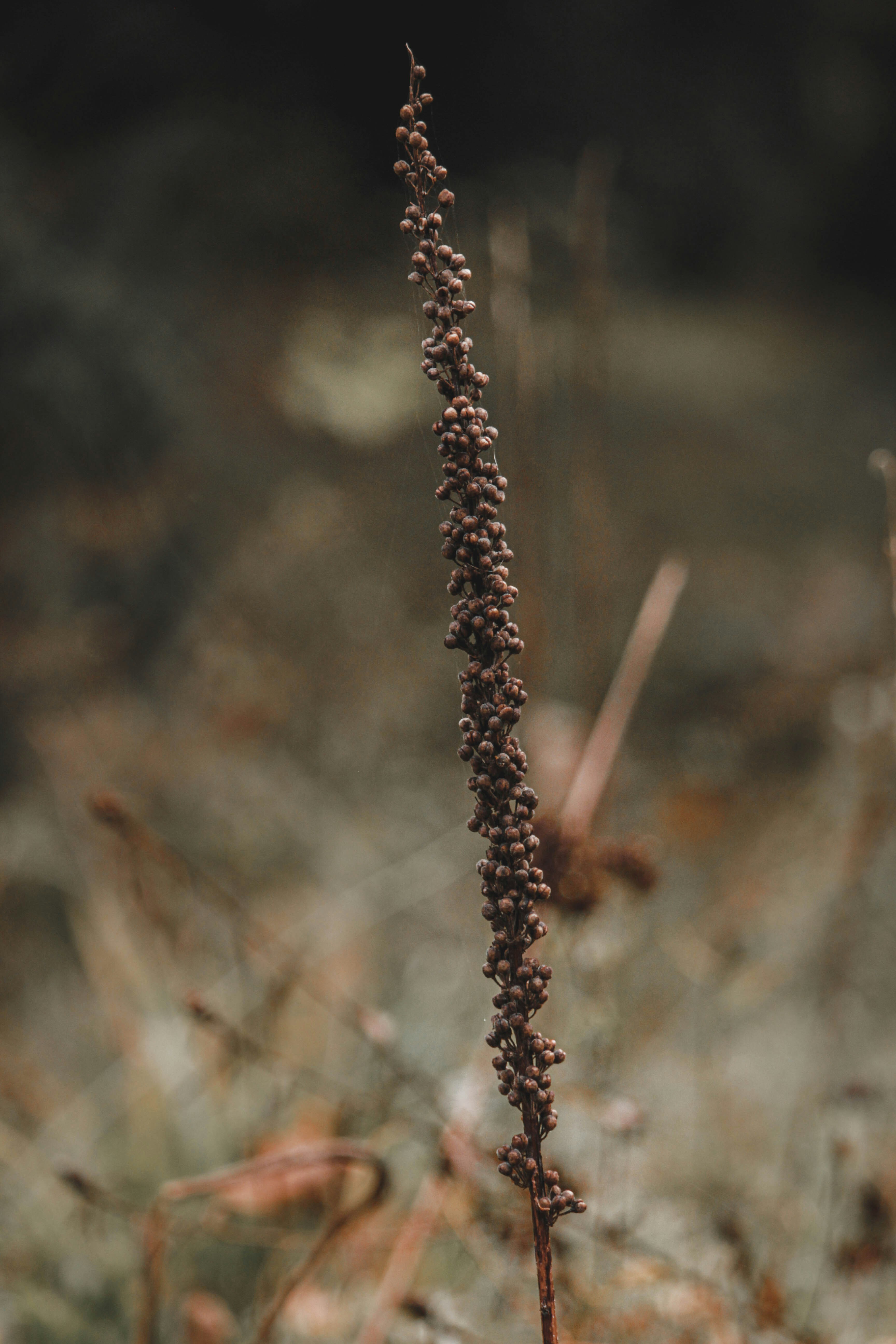 Photo by Jolanda Legeer with Canon EOS 650D