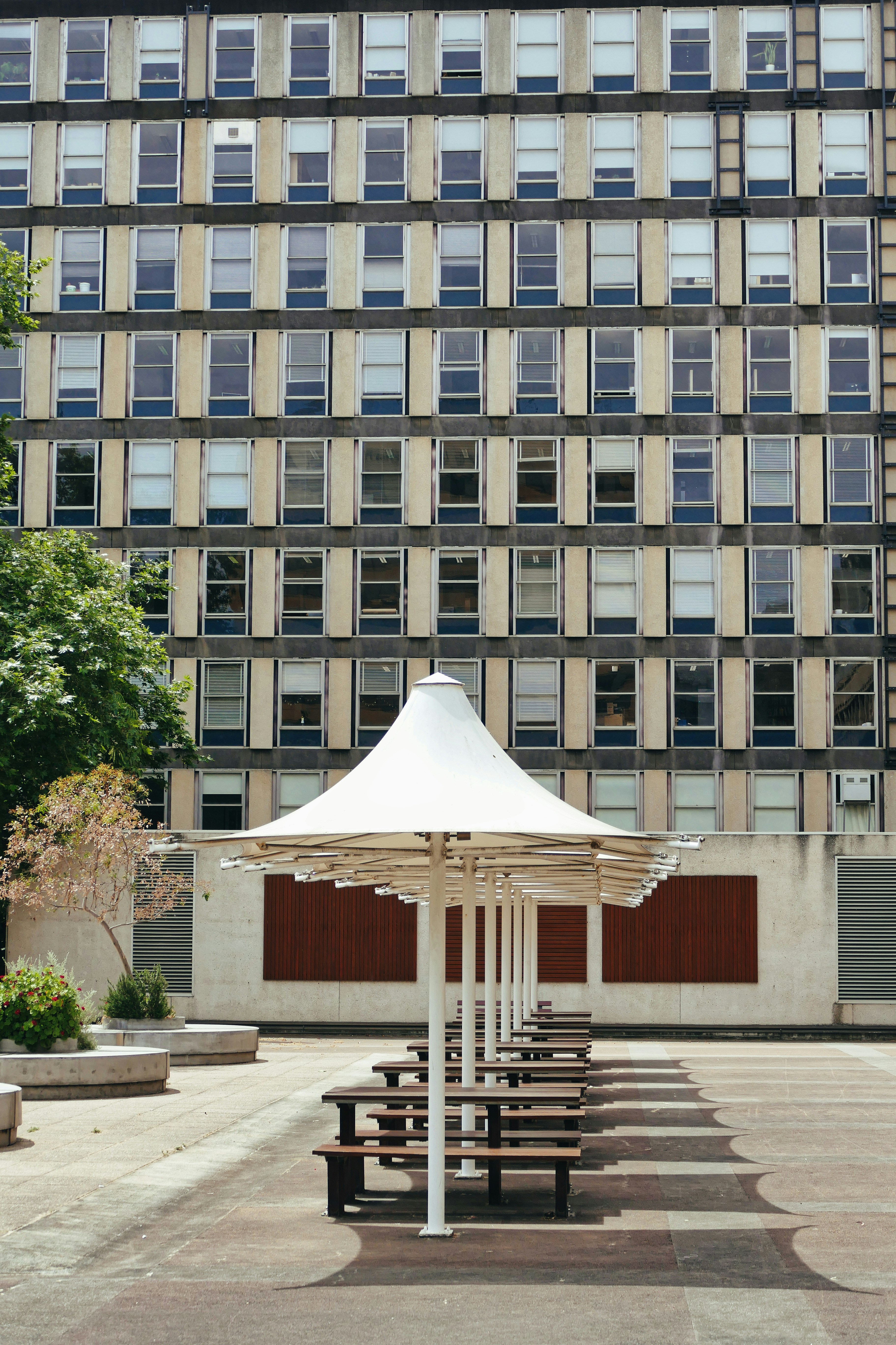 Symmetry in Shade: White canopies march toward the grid of windows