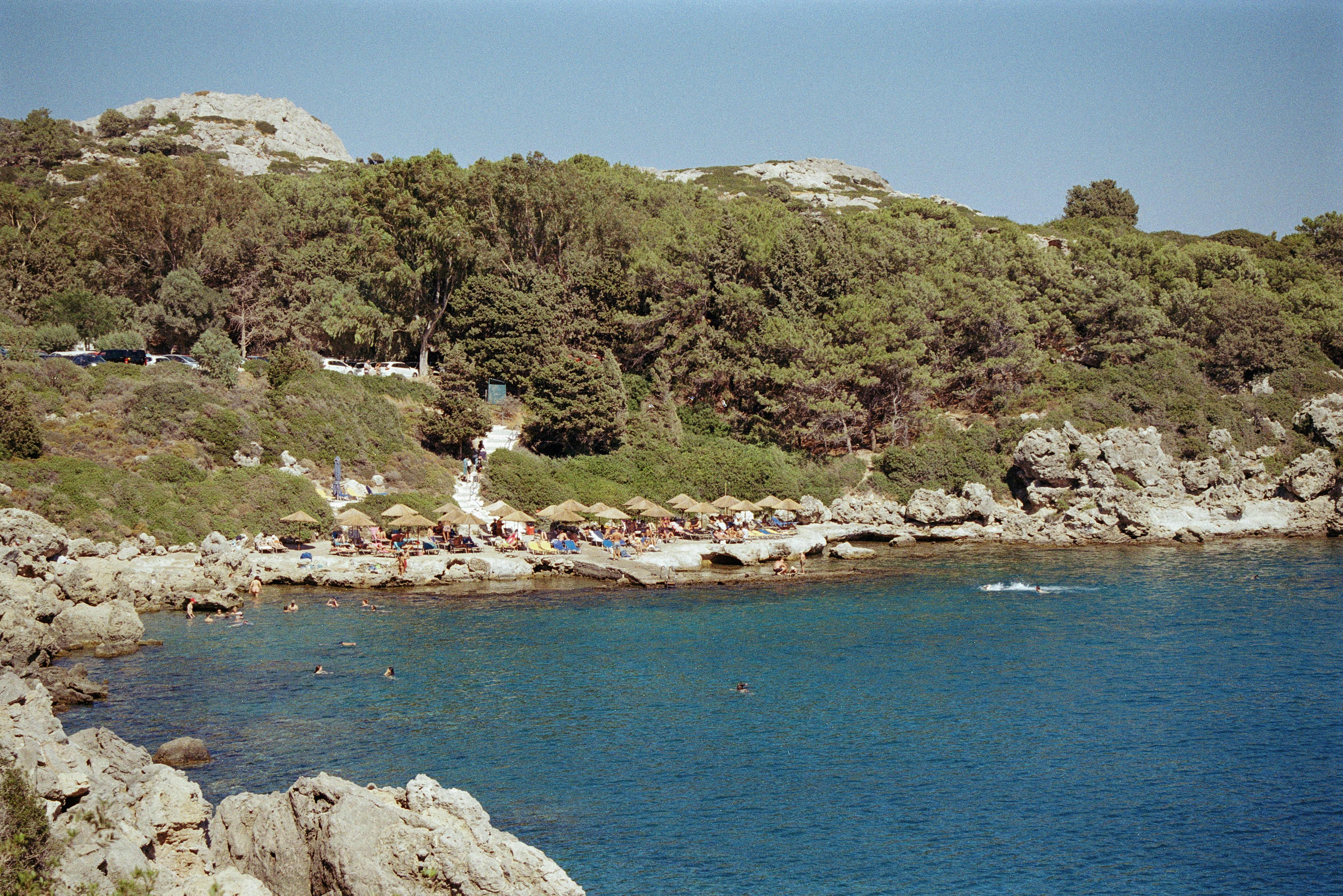 A body of water surrounded by trees and rocks