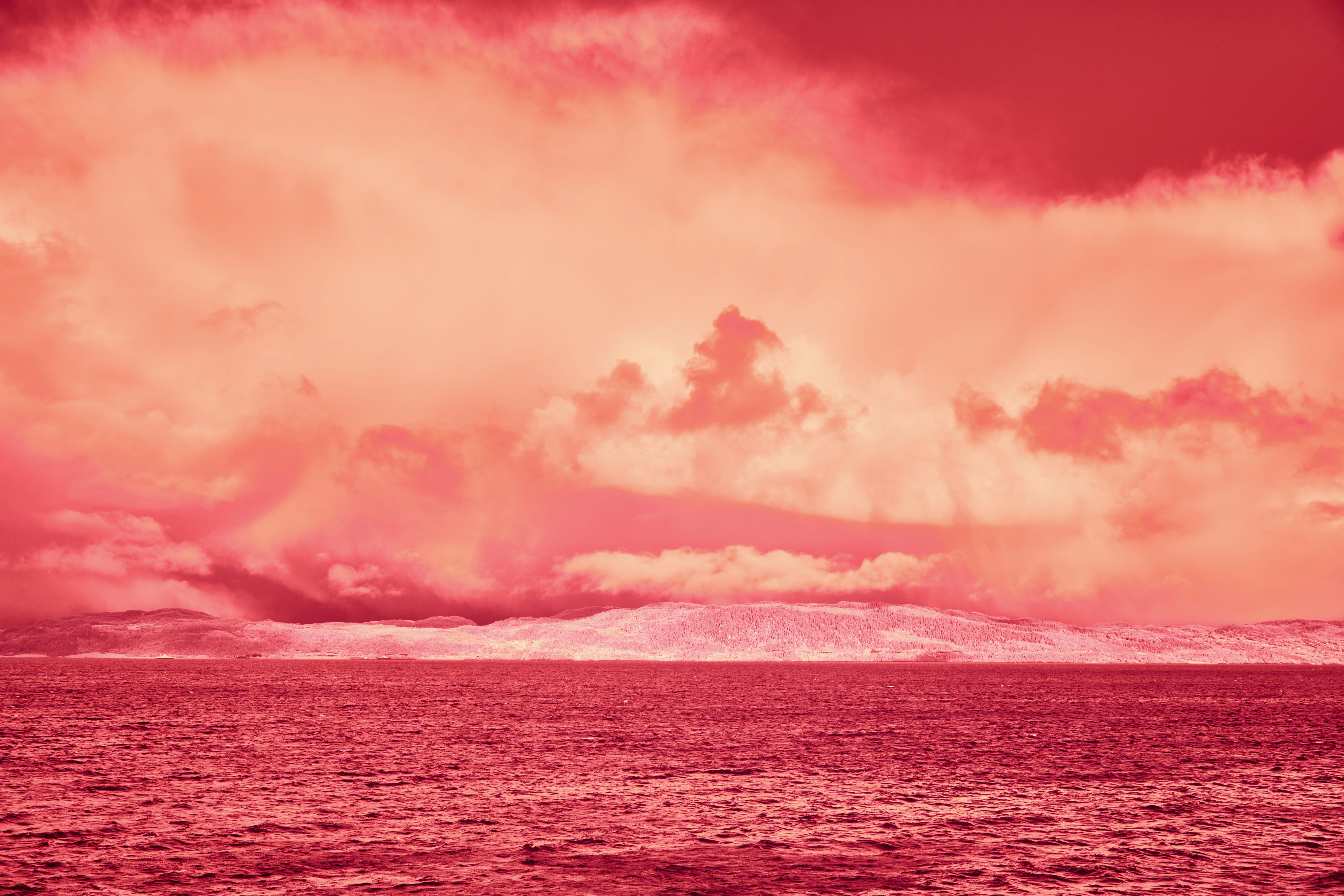 Photo by Wolfgang Hasselmann with Sony Alpha 7 IV