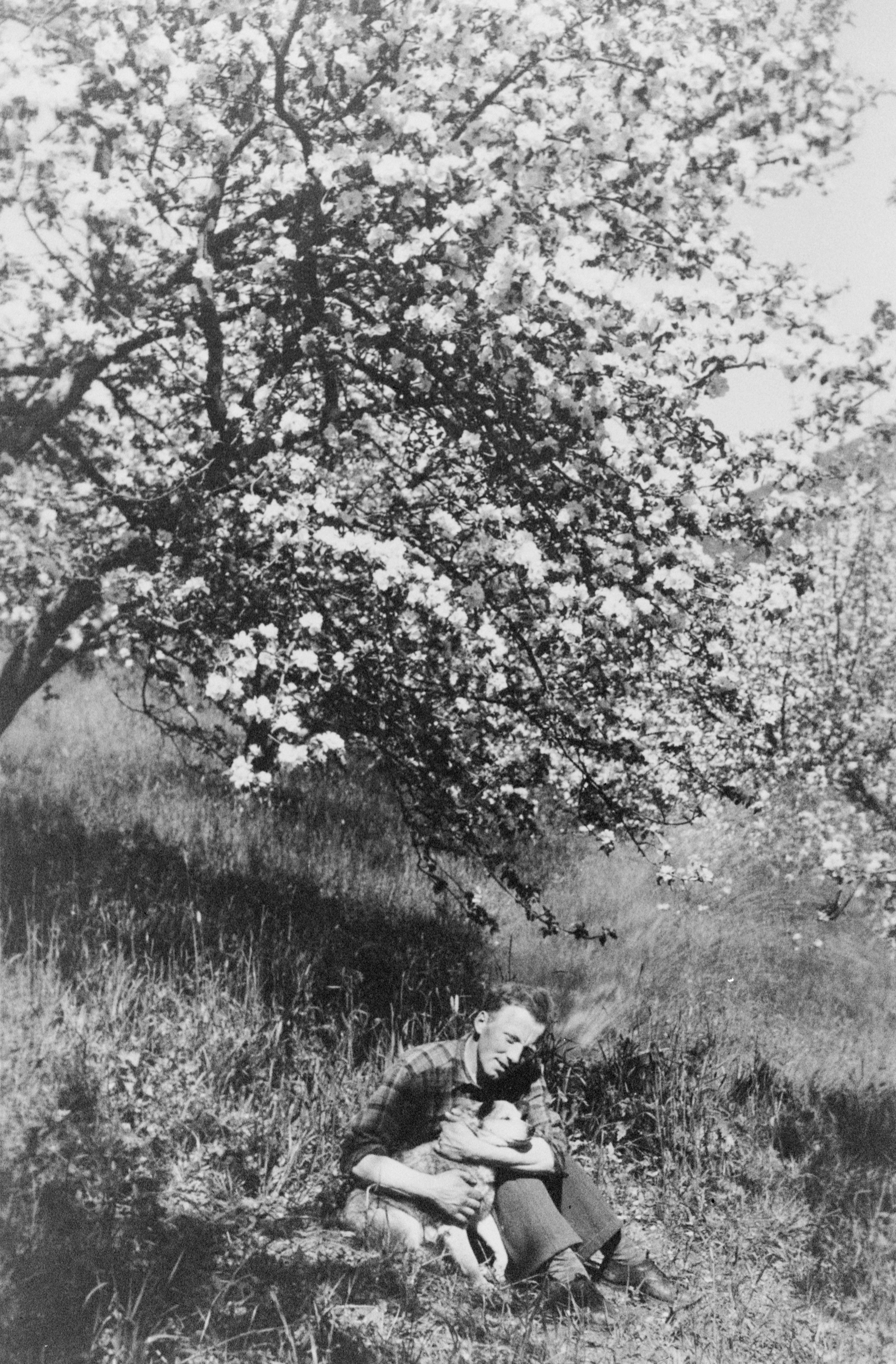 Under the Blooming Canopy: A Quiet Moment Between Father and Child