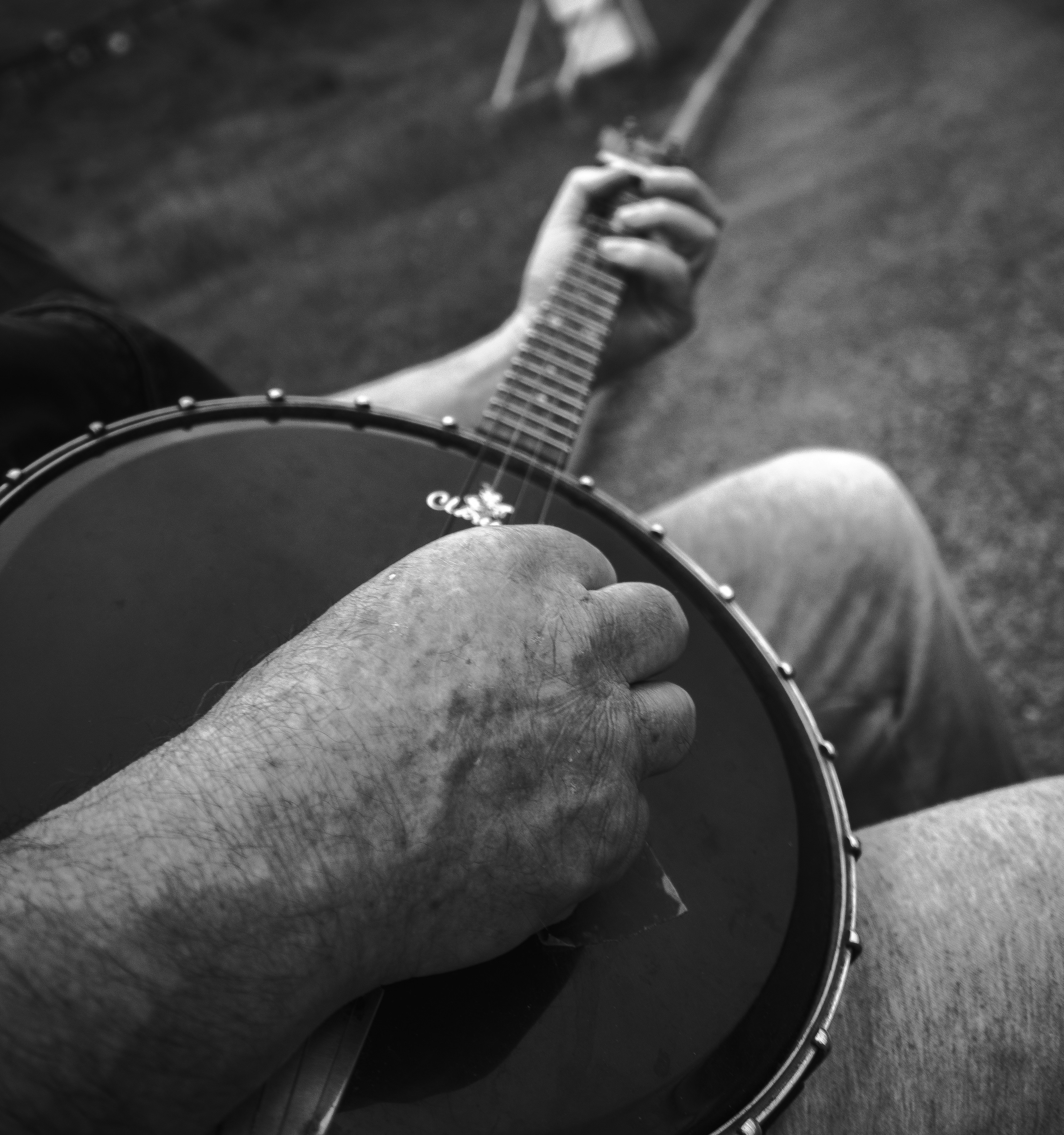 Possum Up a ‘Simmon Tree - Stories Sown With Hope