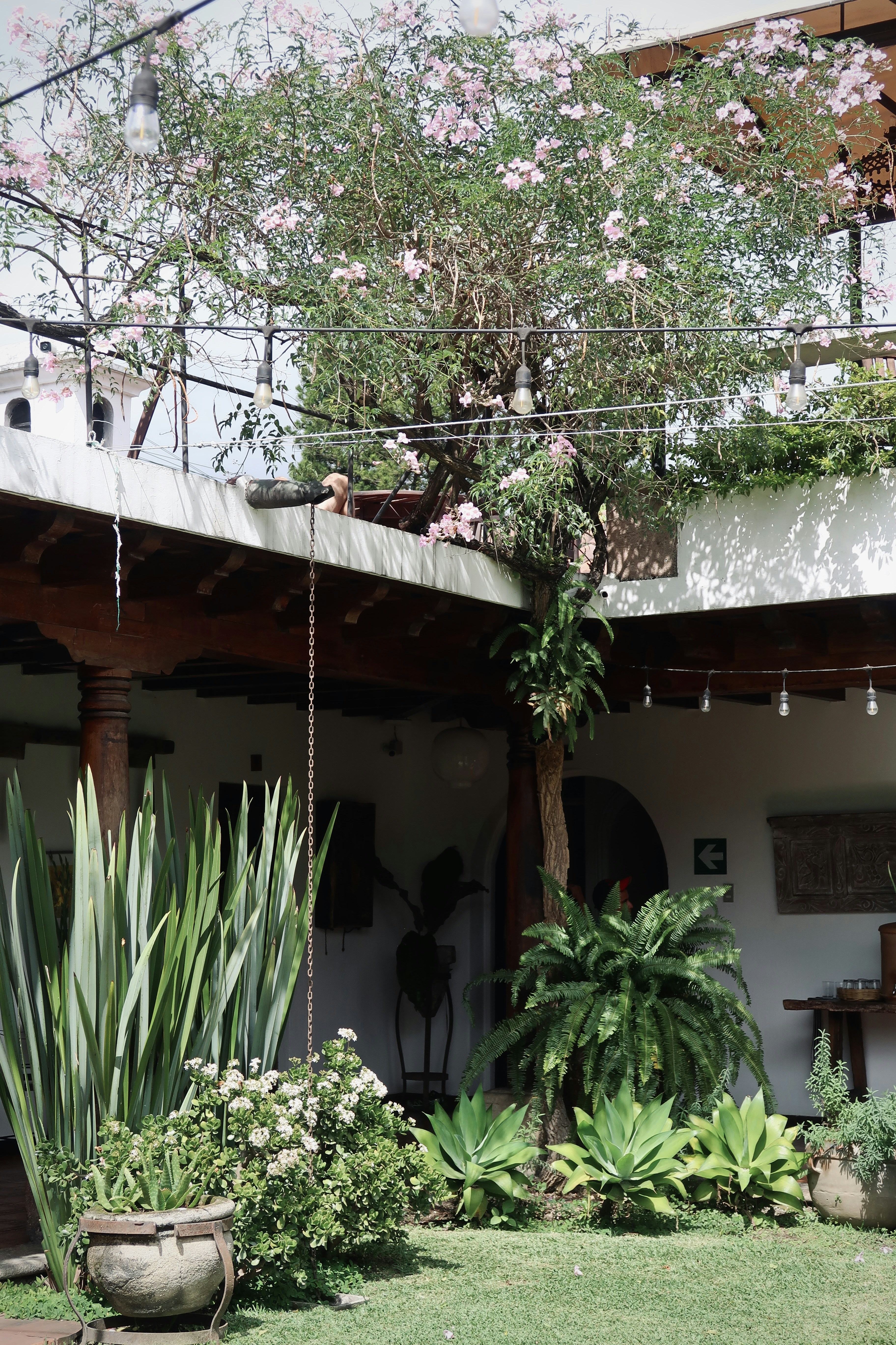 Pink Canopy Over a Sunlit Courtyard with String Lights and Lush Greenery