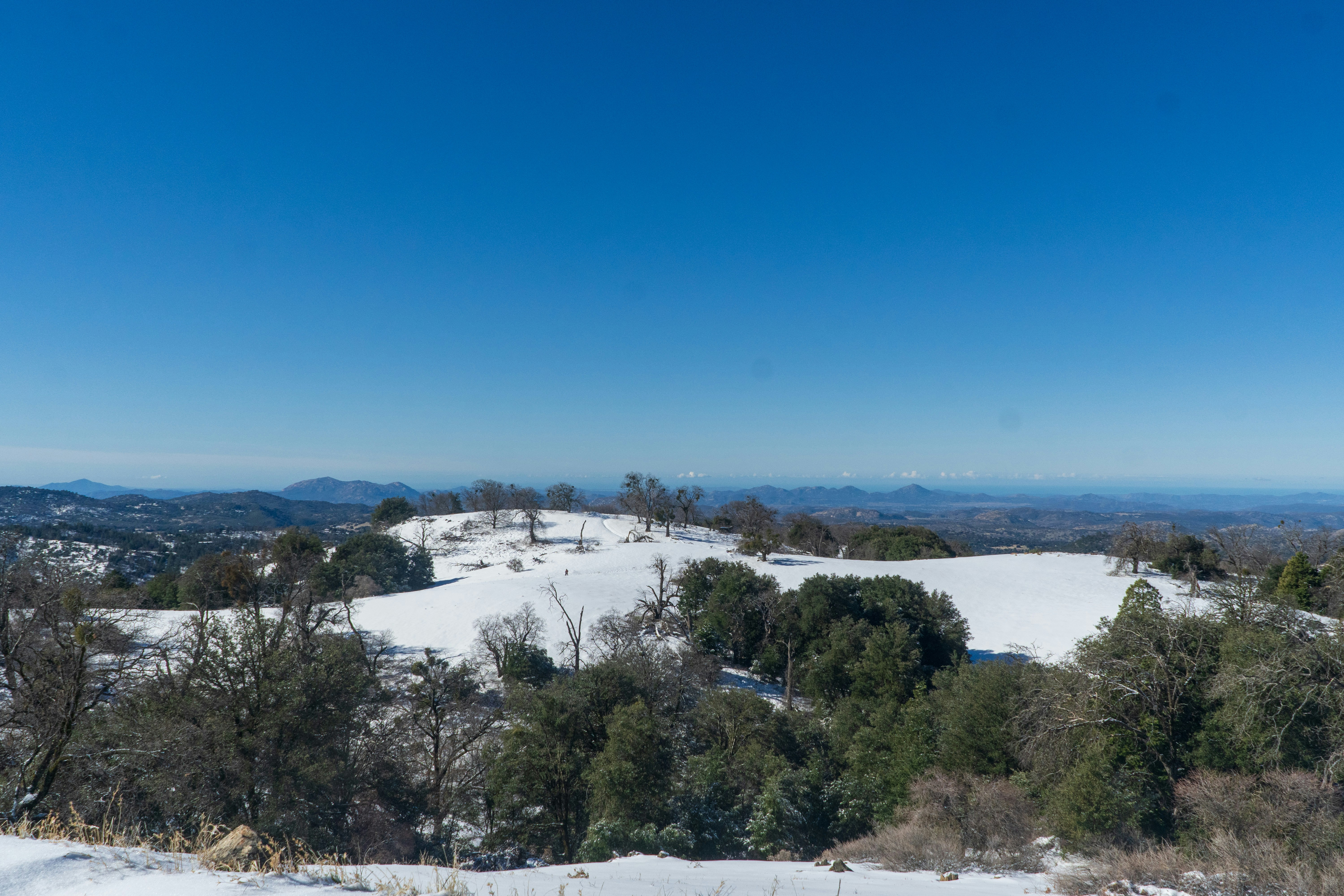 A snow covered hill with trees and a blue sky photo – Free Forest Image ...
