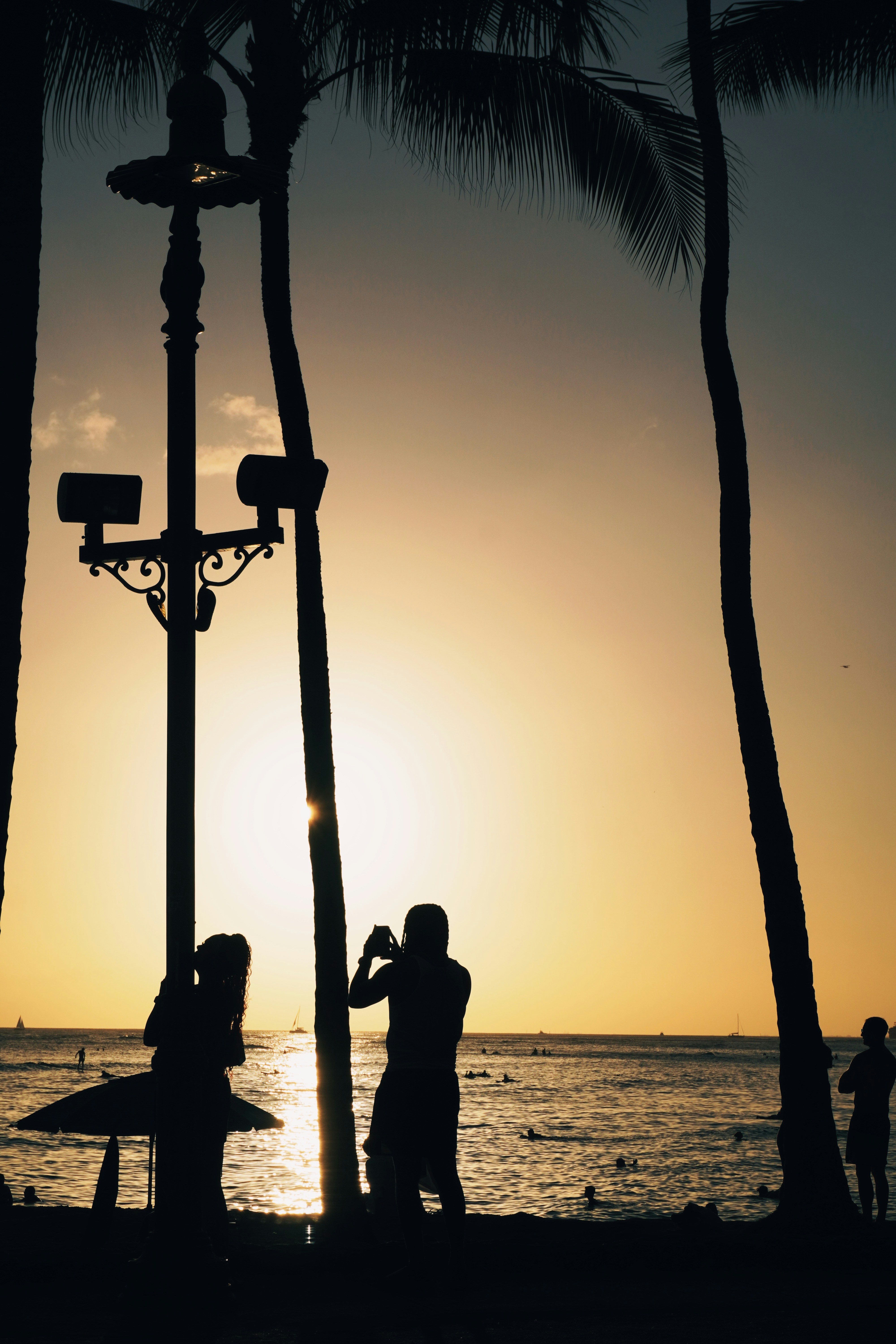 Gold Hour Silhouettes: Palm Shadows Framing a Beach Sunset