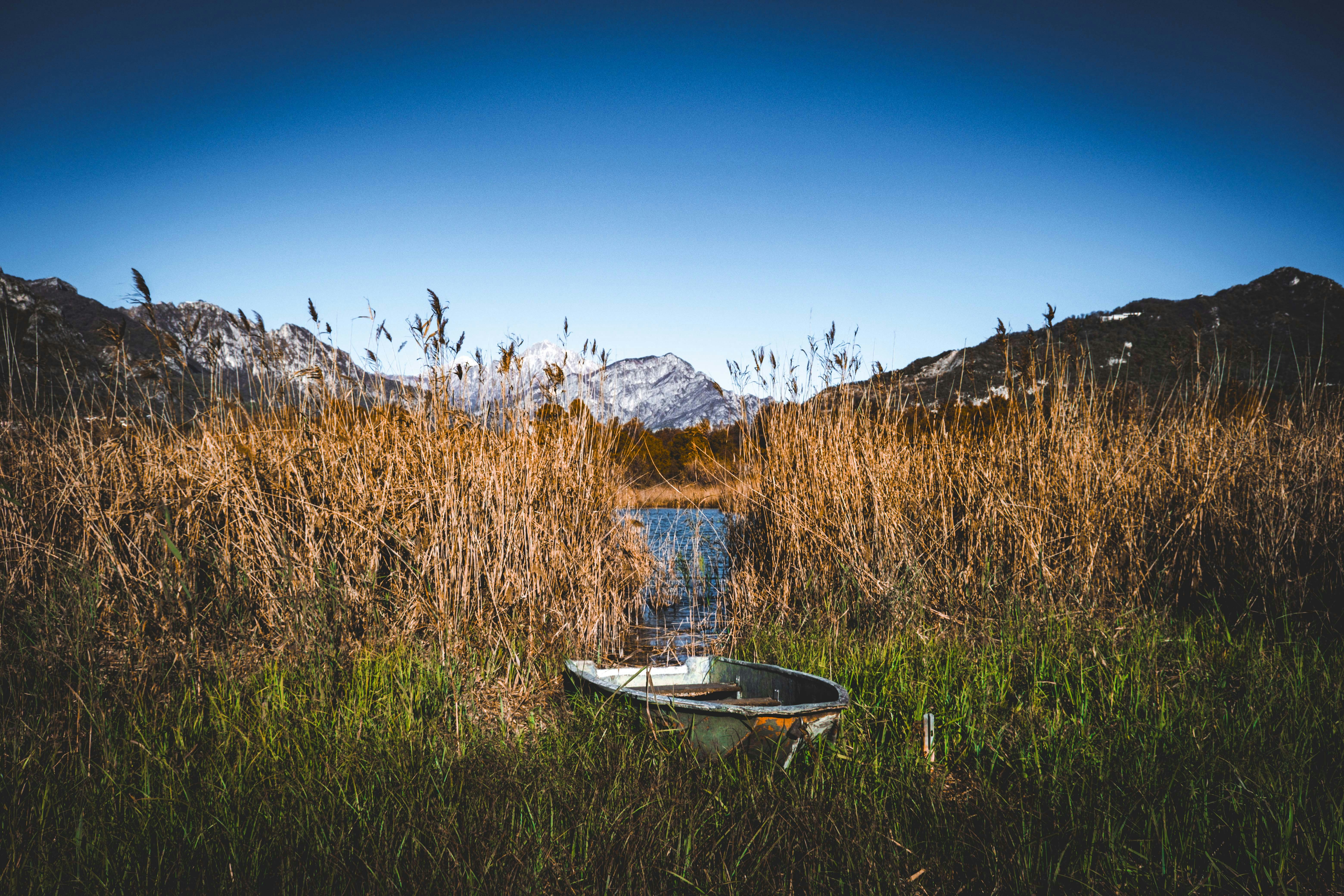 Boat Among Golden Reeds at the Foot of Alpine Peaks
