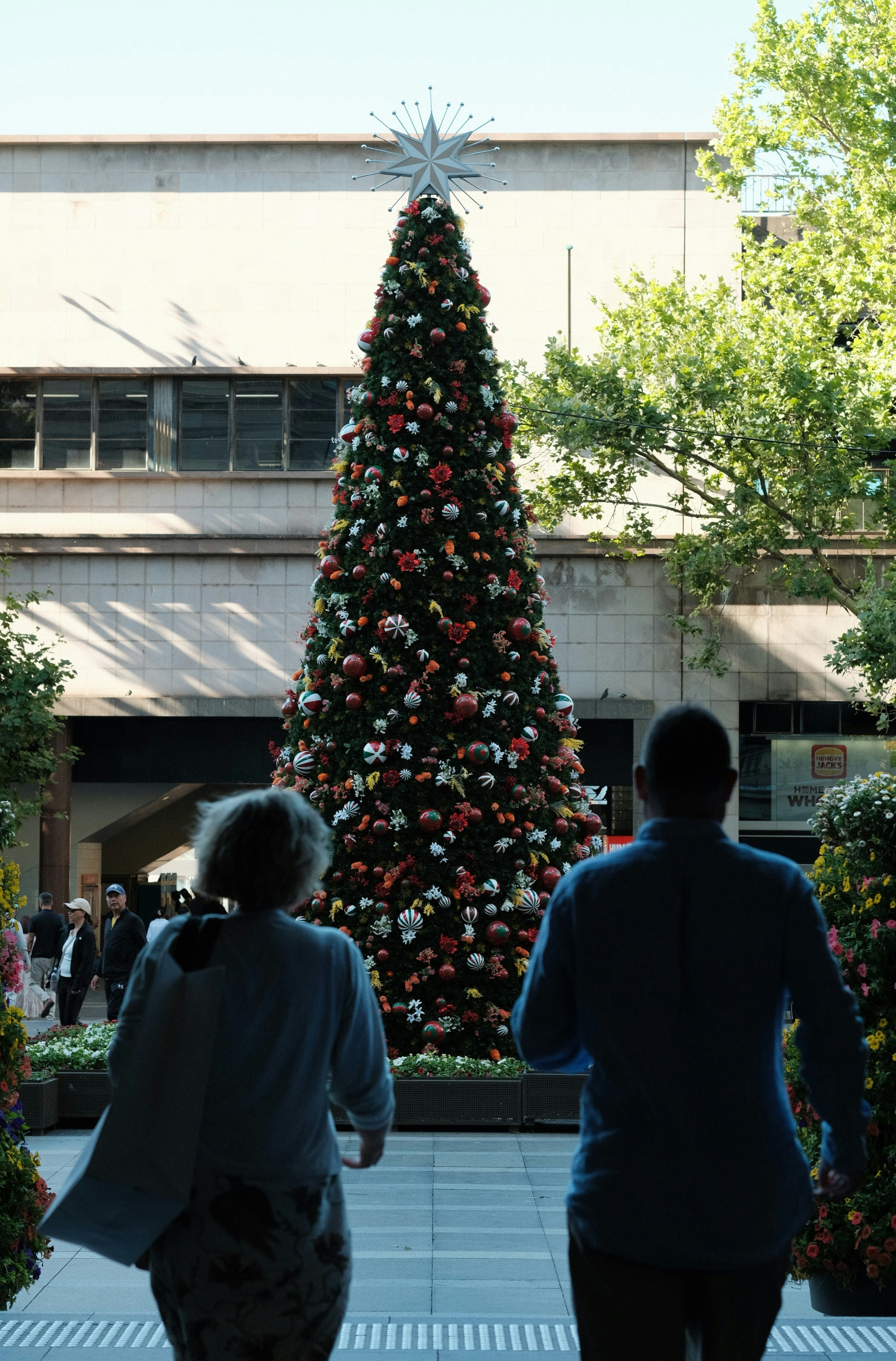 Holiday Splendor: A Festive Welcome