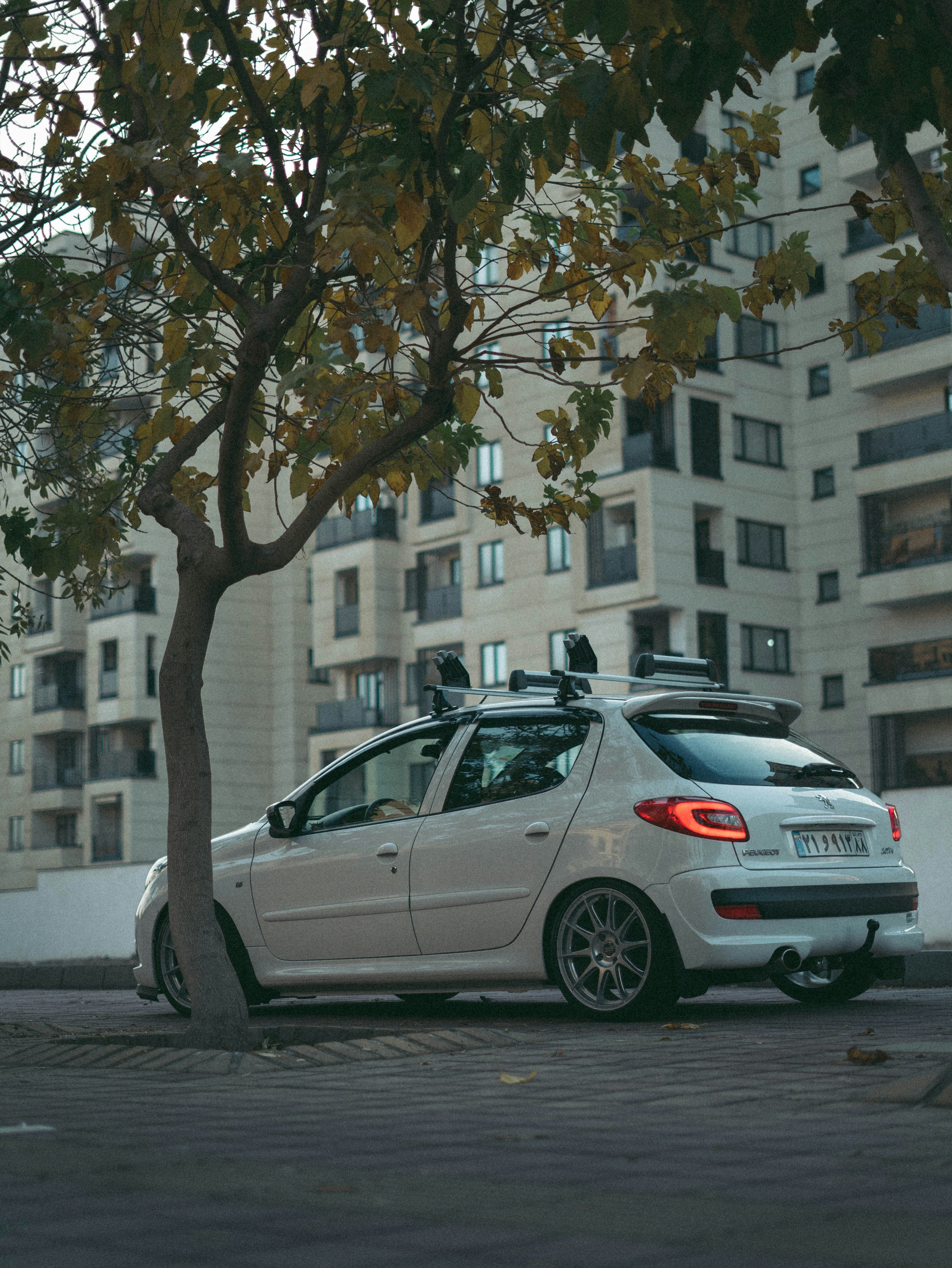 Under City Shade: A White Hatchback Nestled by a Tree in an Urban Courtyard