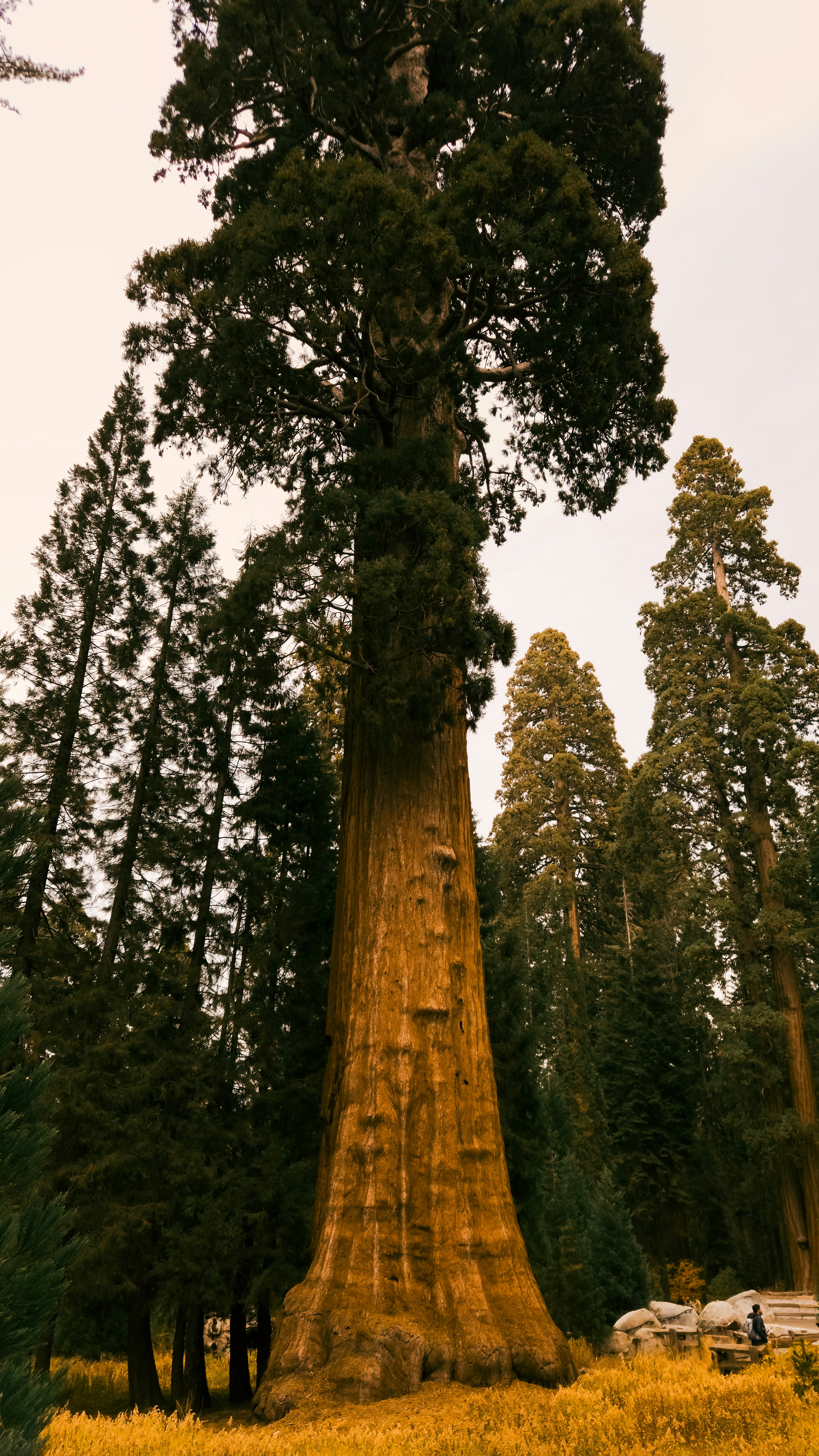 Photo by Victor Devos with SAMSUNG Galaxy S24