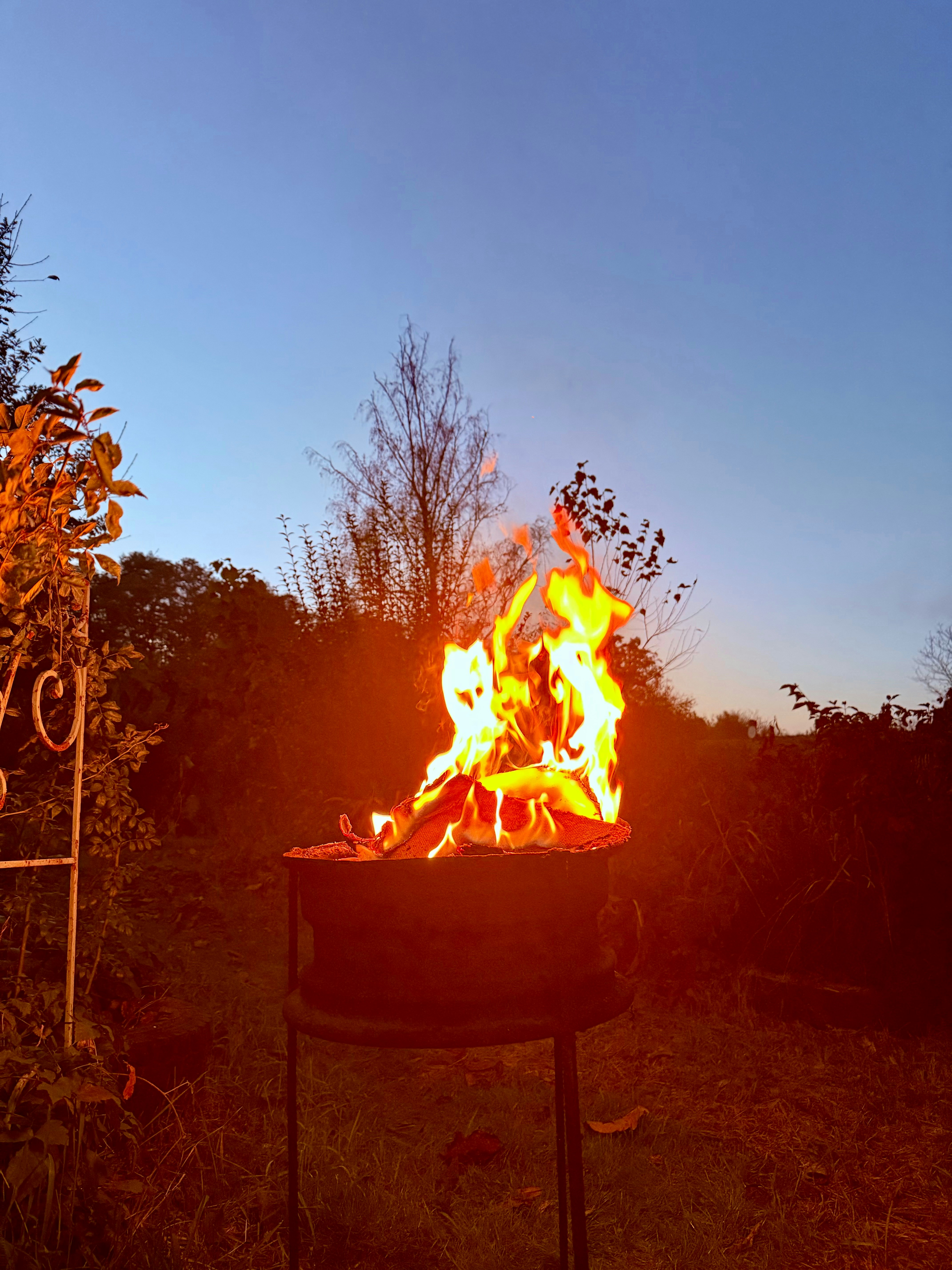 Kostia Dmitriiev (@collorjune) | Unsplash Photo Community