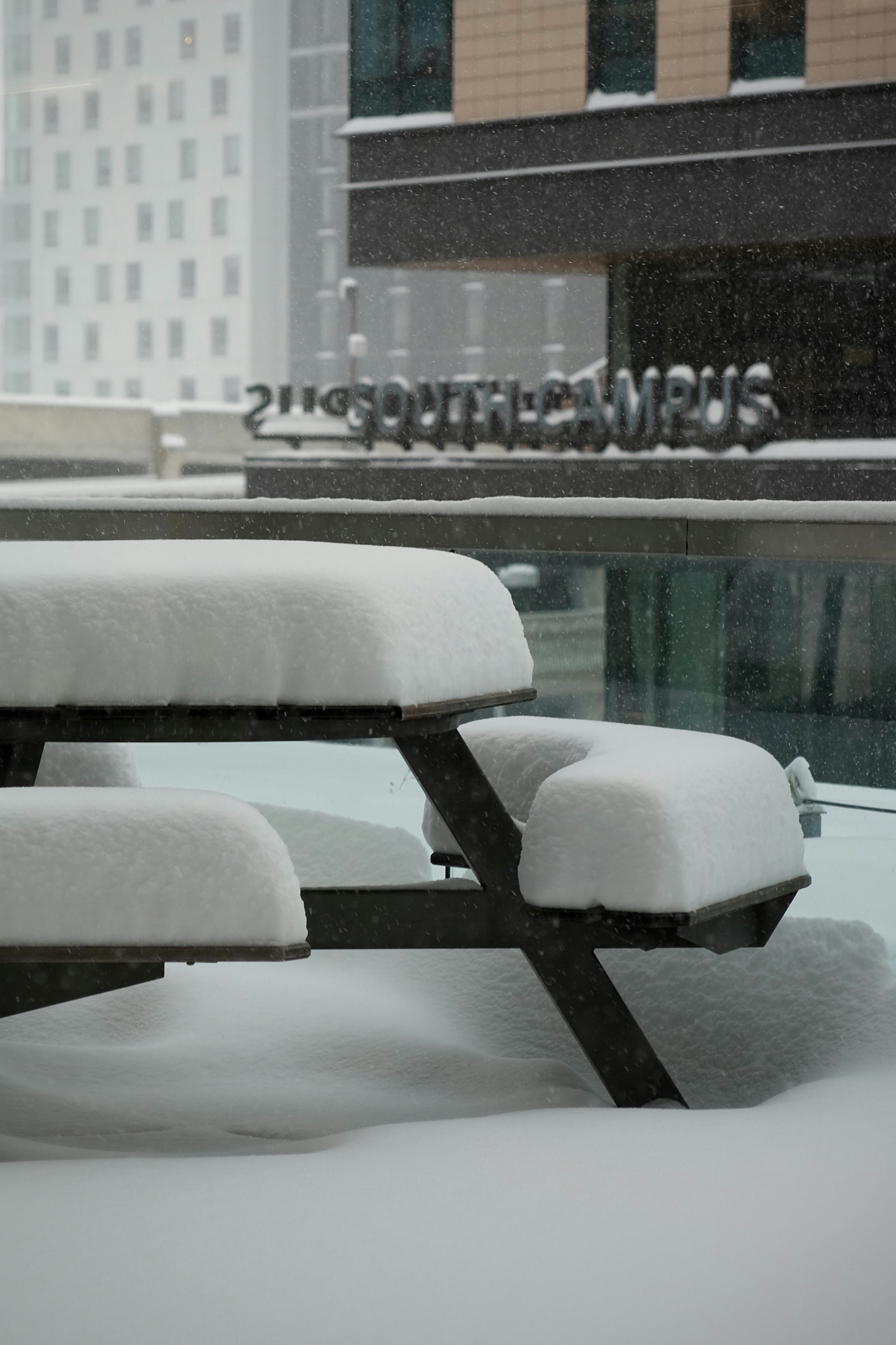 Snowbound Urban Quiet: Picnic Shelter Under a Wintered Skyline
