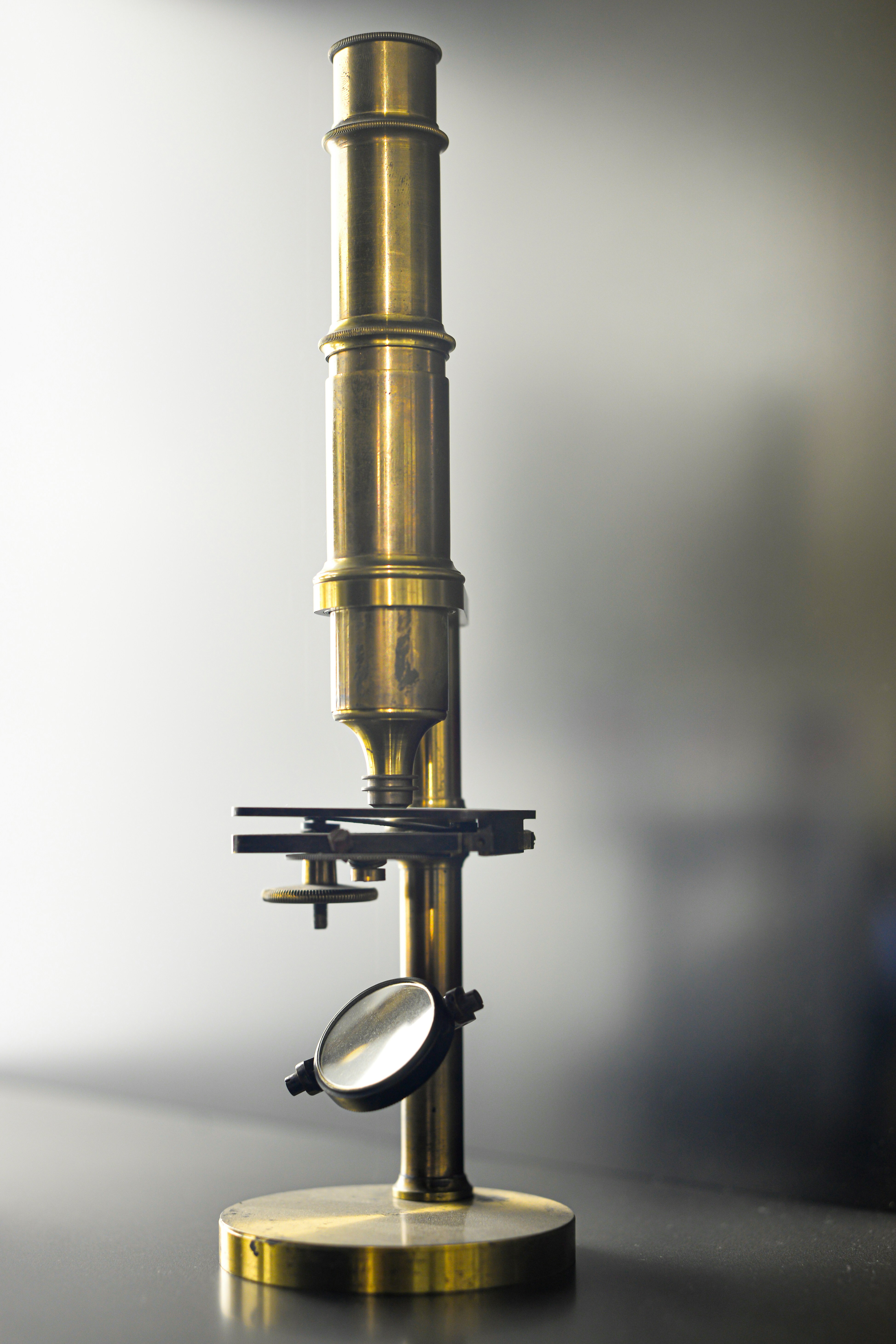 750+ Microscope Pictures [HD] | Download Free Images on Unsplash