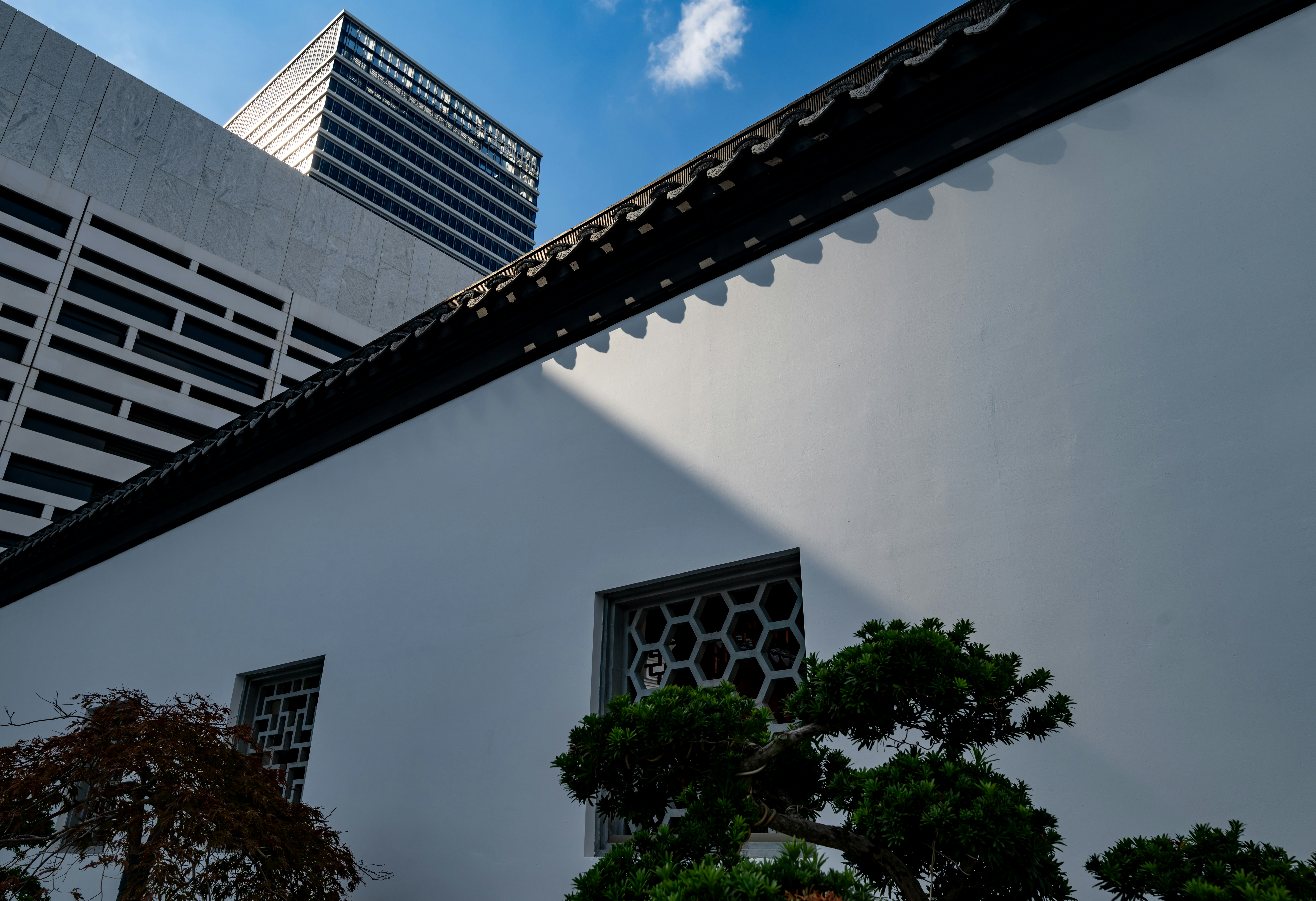 Diagonal Roofline and Lattice: a quiet architectural portrait