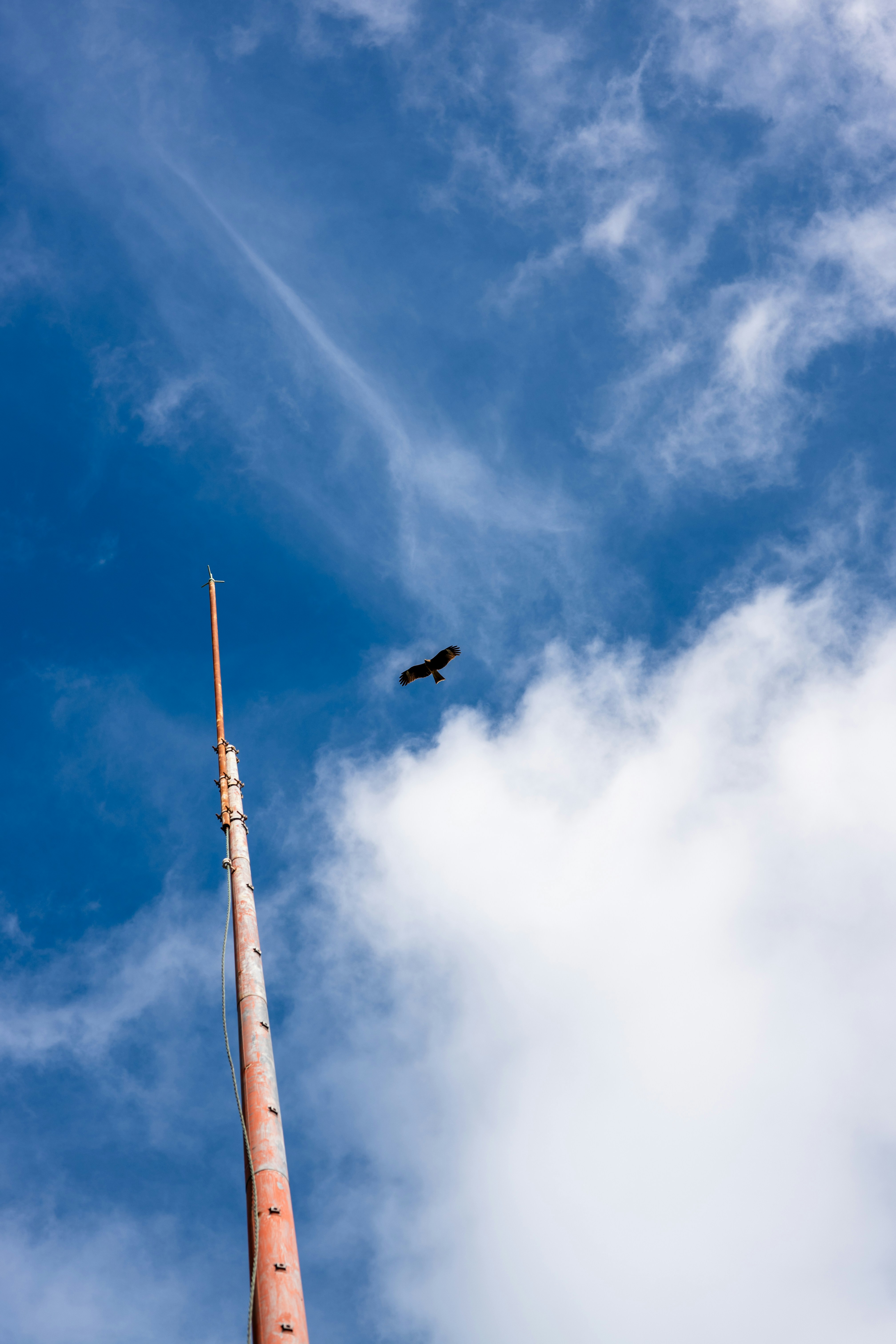 Photo by Kouji Tsuru with Nikon Z6 III