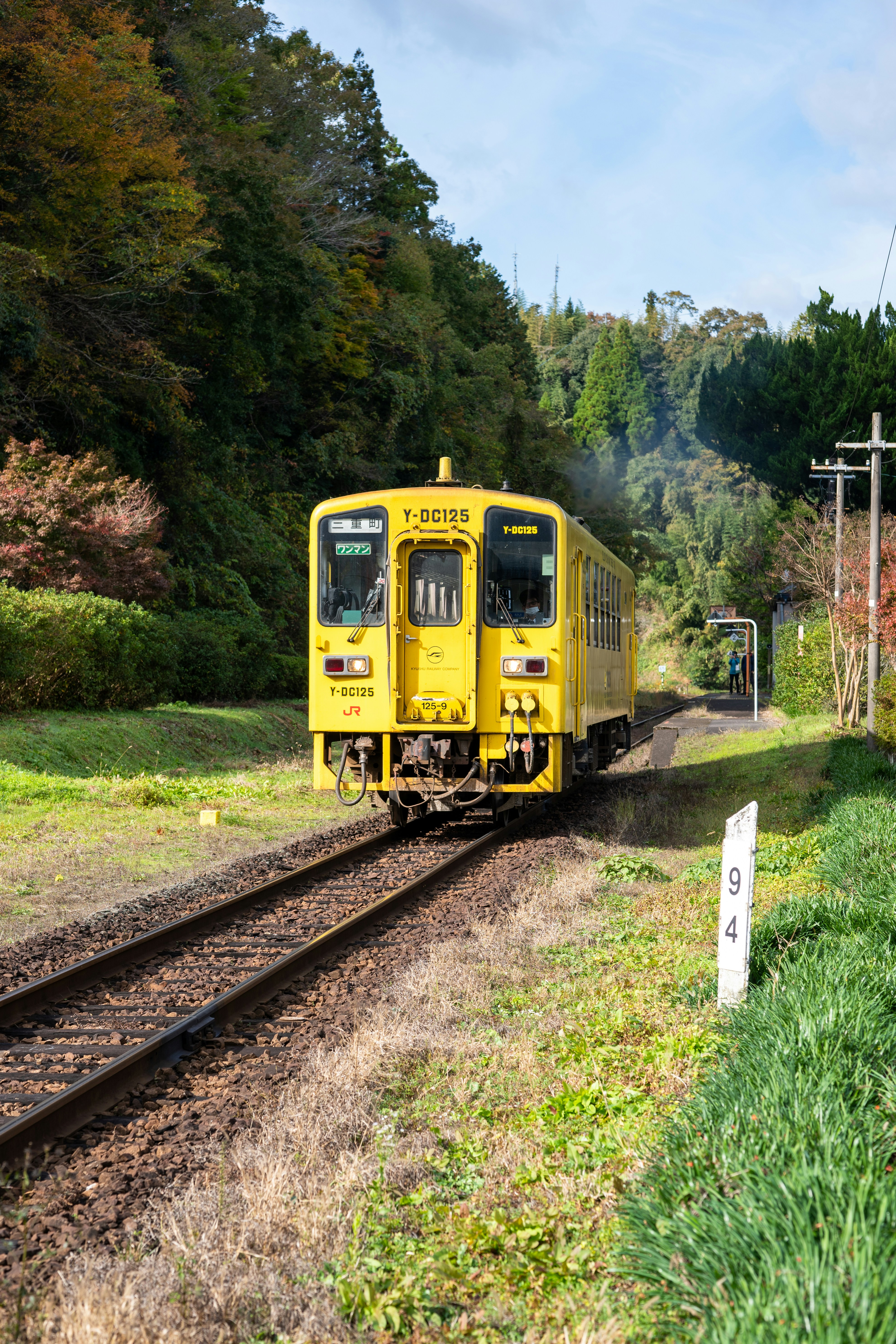 A yellow train traveling down train tracks next to a forest photo ...