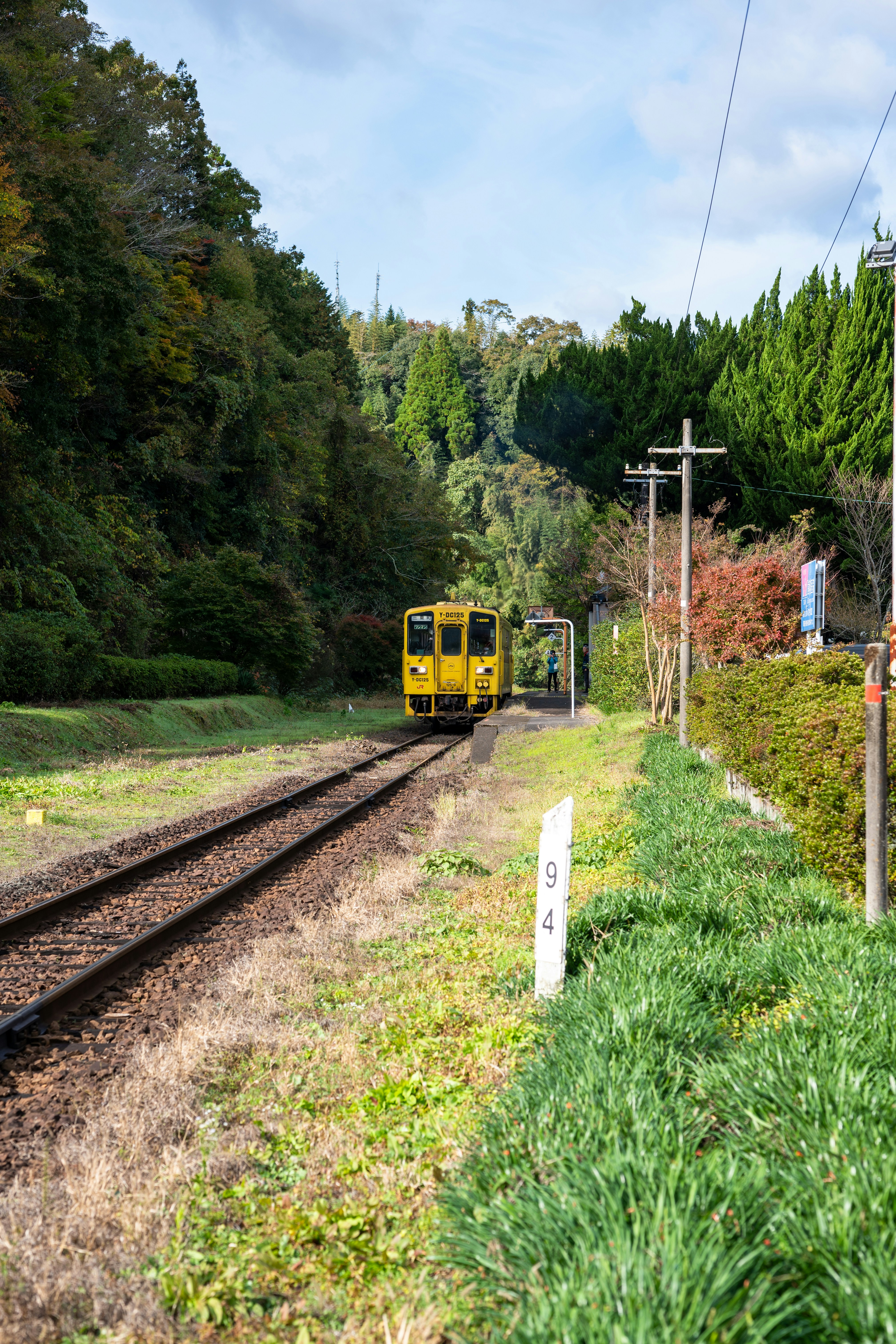 Photo by Kouji Tsuru with Nikon Z6 III