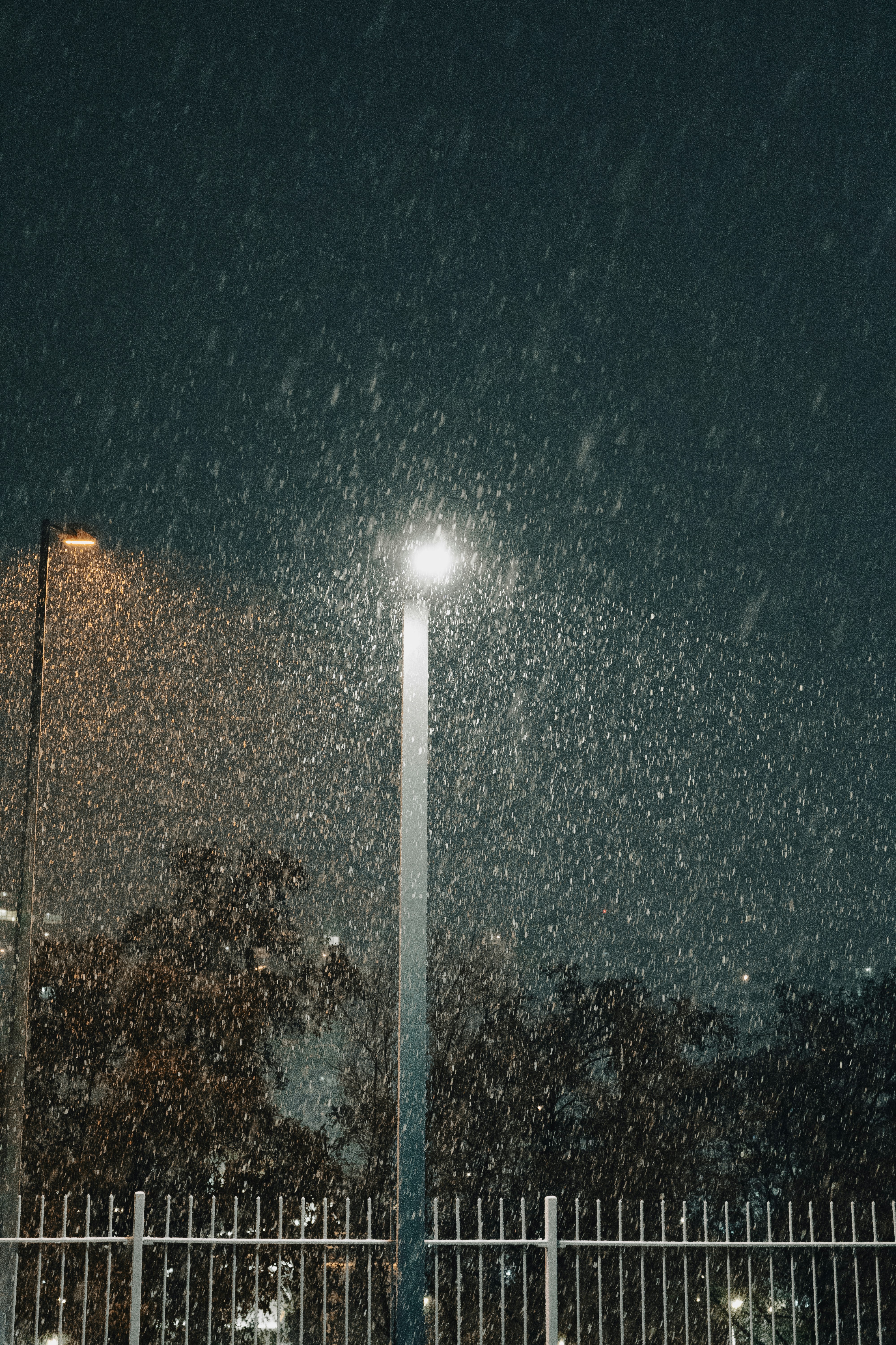 A street light in the middle of a snowy nightMustafa Turhan