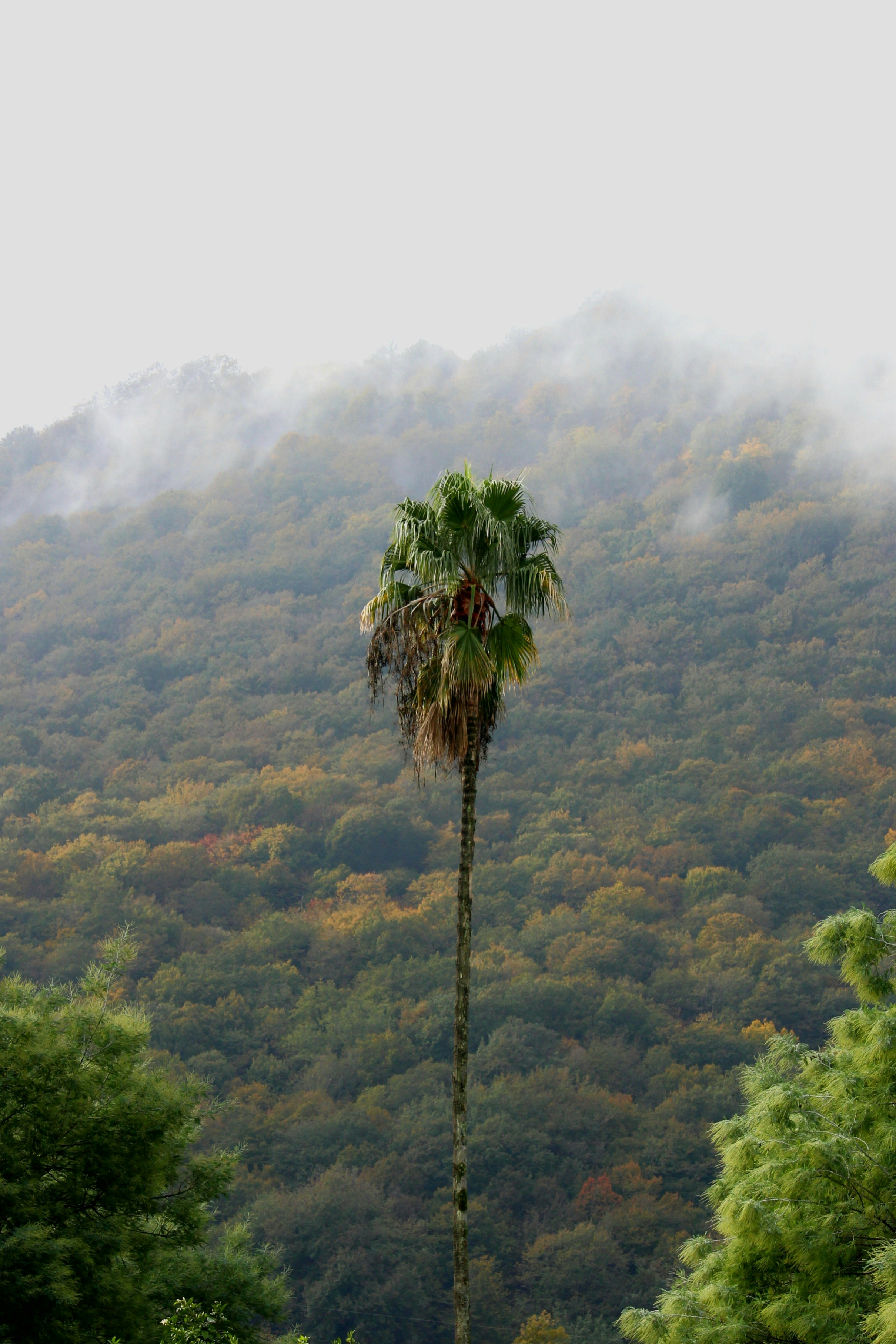 Reza Ghobadi (@rghobadi) | Communauté photos Unsplash