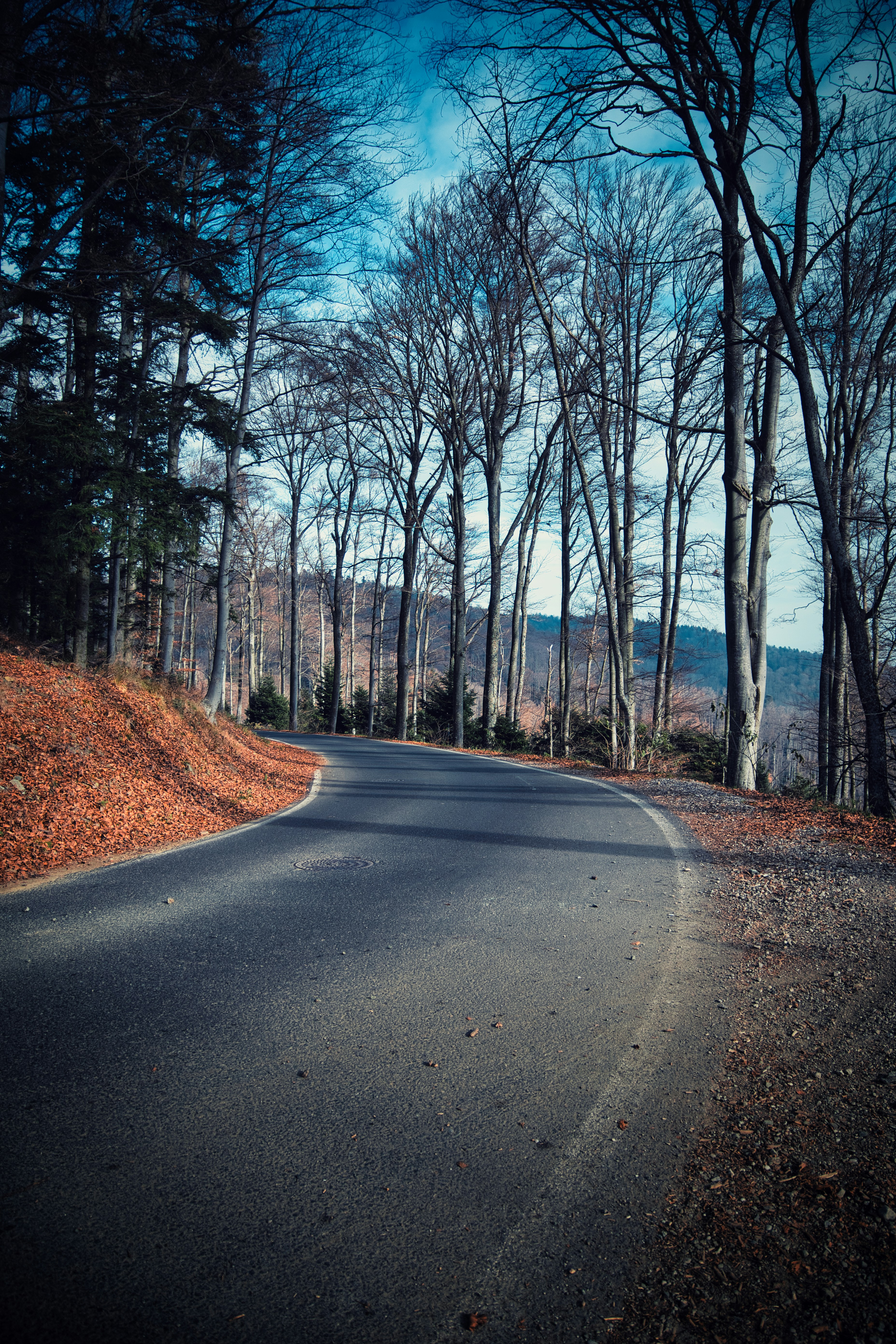 A curved road surrounded by trees and hills photo – Free Road Image on ...
