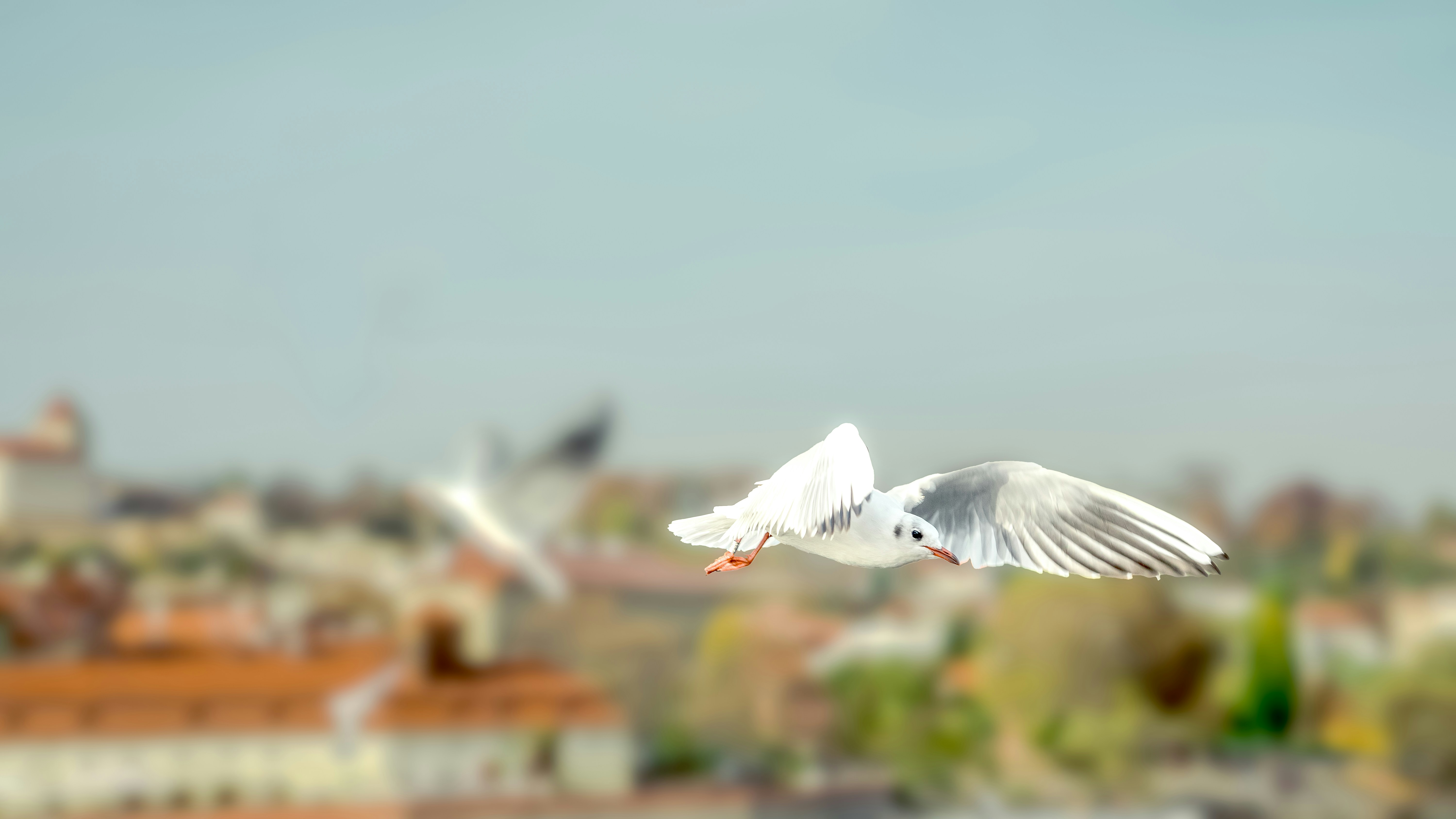 Photo by Luca Tettamanti with Sony Alpha 7 II