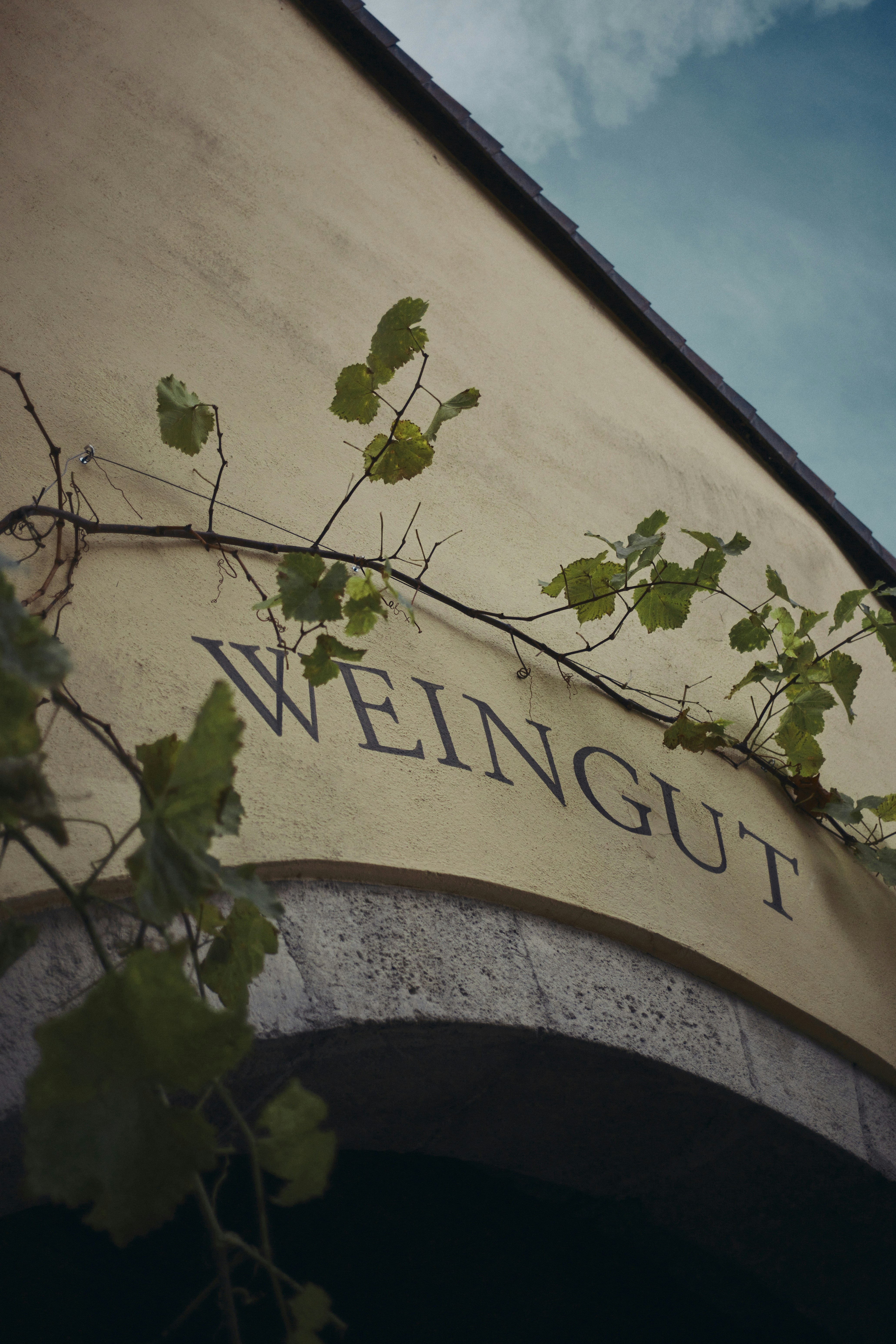 Vine-Wrapped Archway of WeinGut