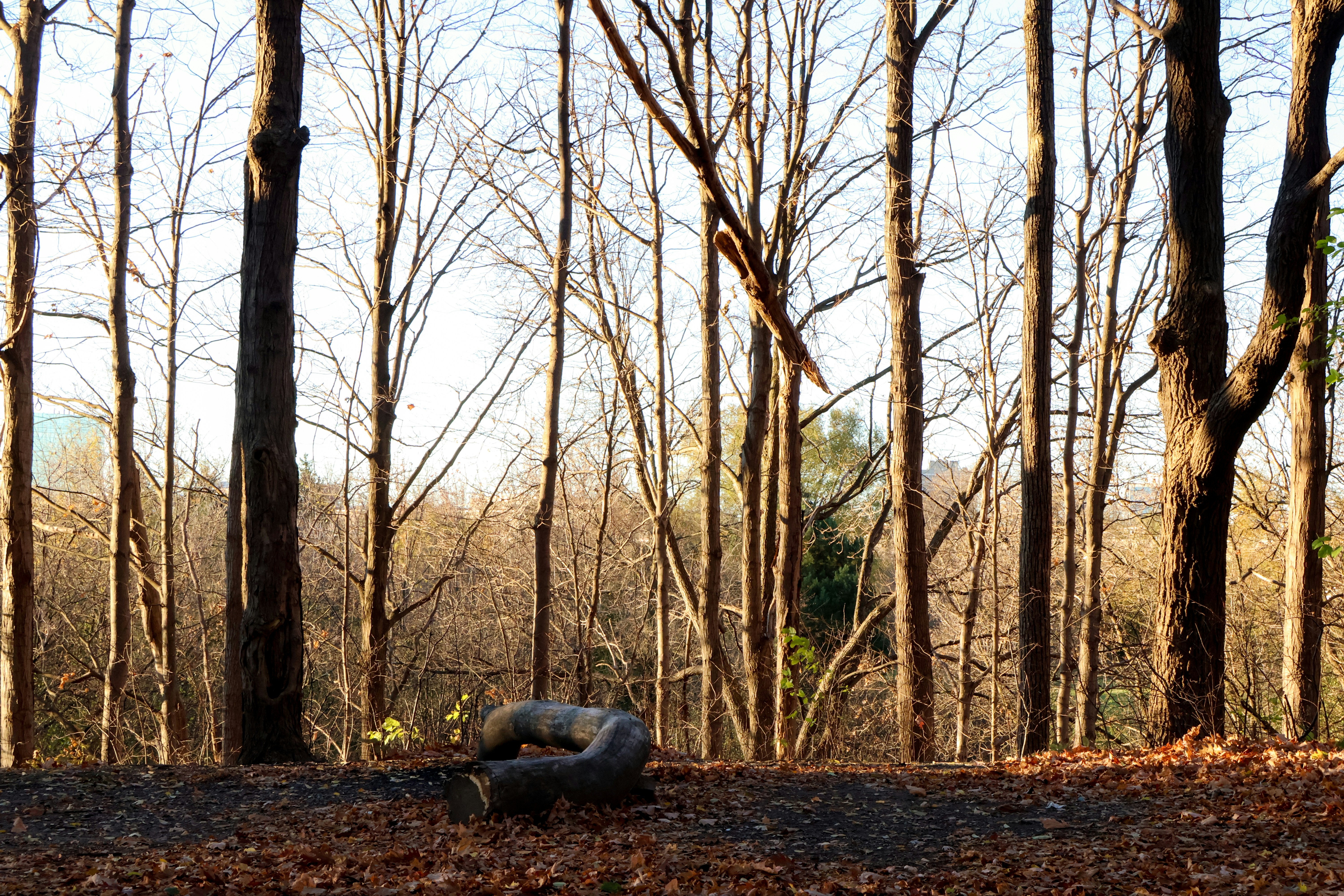 Photo taken in G Ross Park