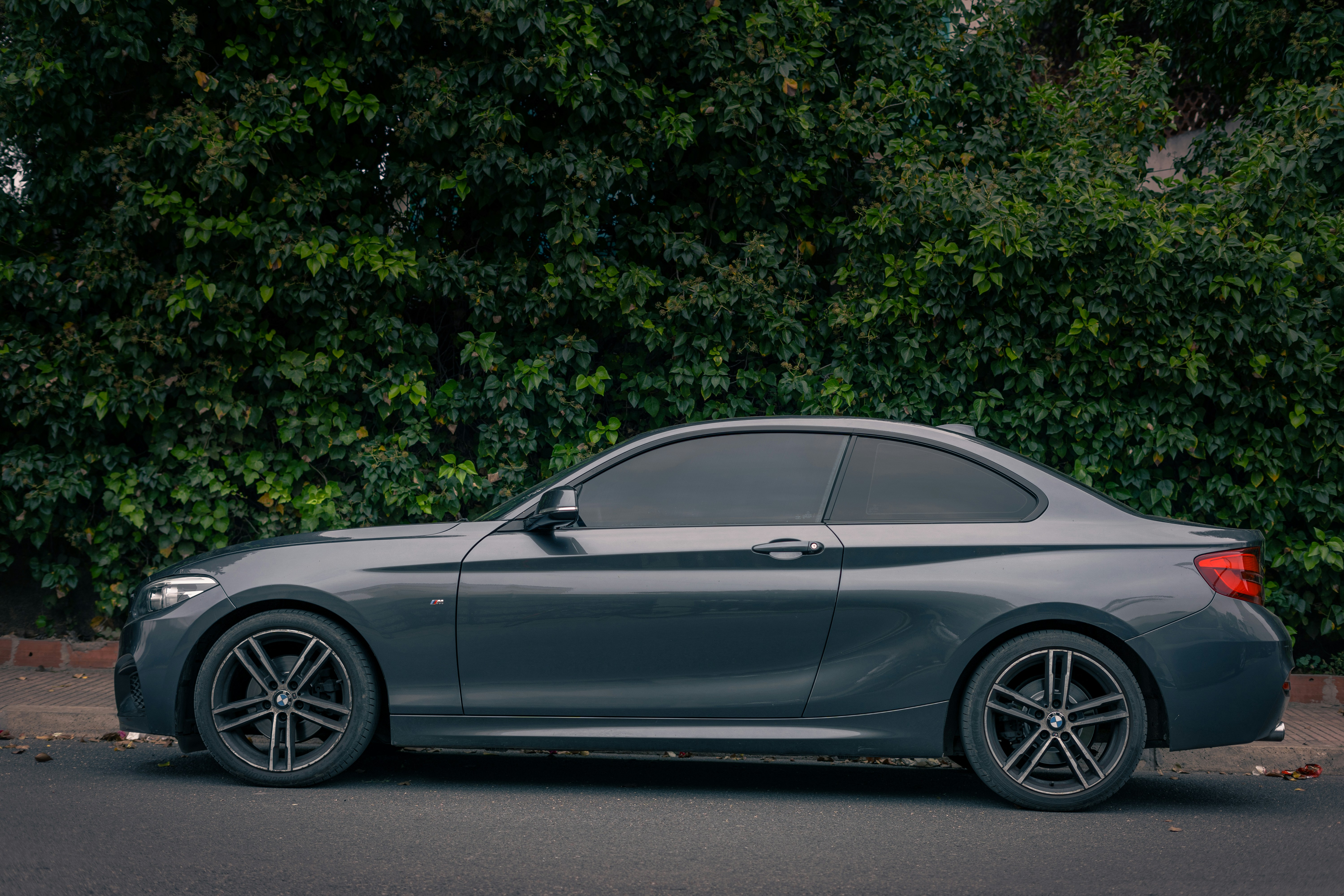 Sleek gray coupe parked against lush ivy-covered walls, highlighting the contrast between modern automotive design and natural greenery.