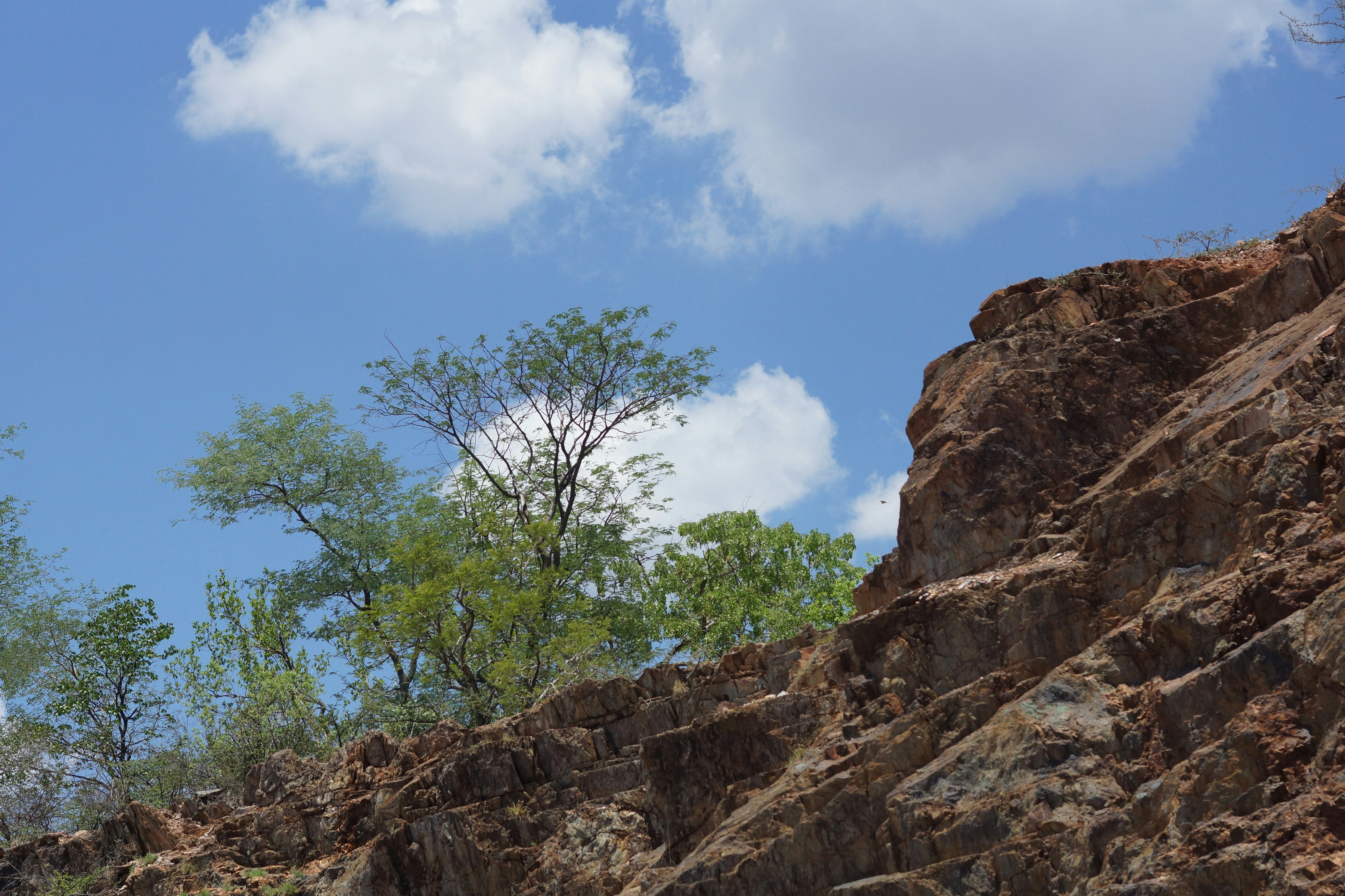 Rugged cliffside with scattered trees beneath a vibrant blue sky dotted with clouds.