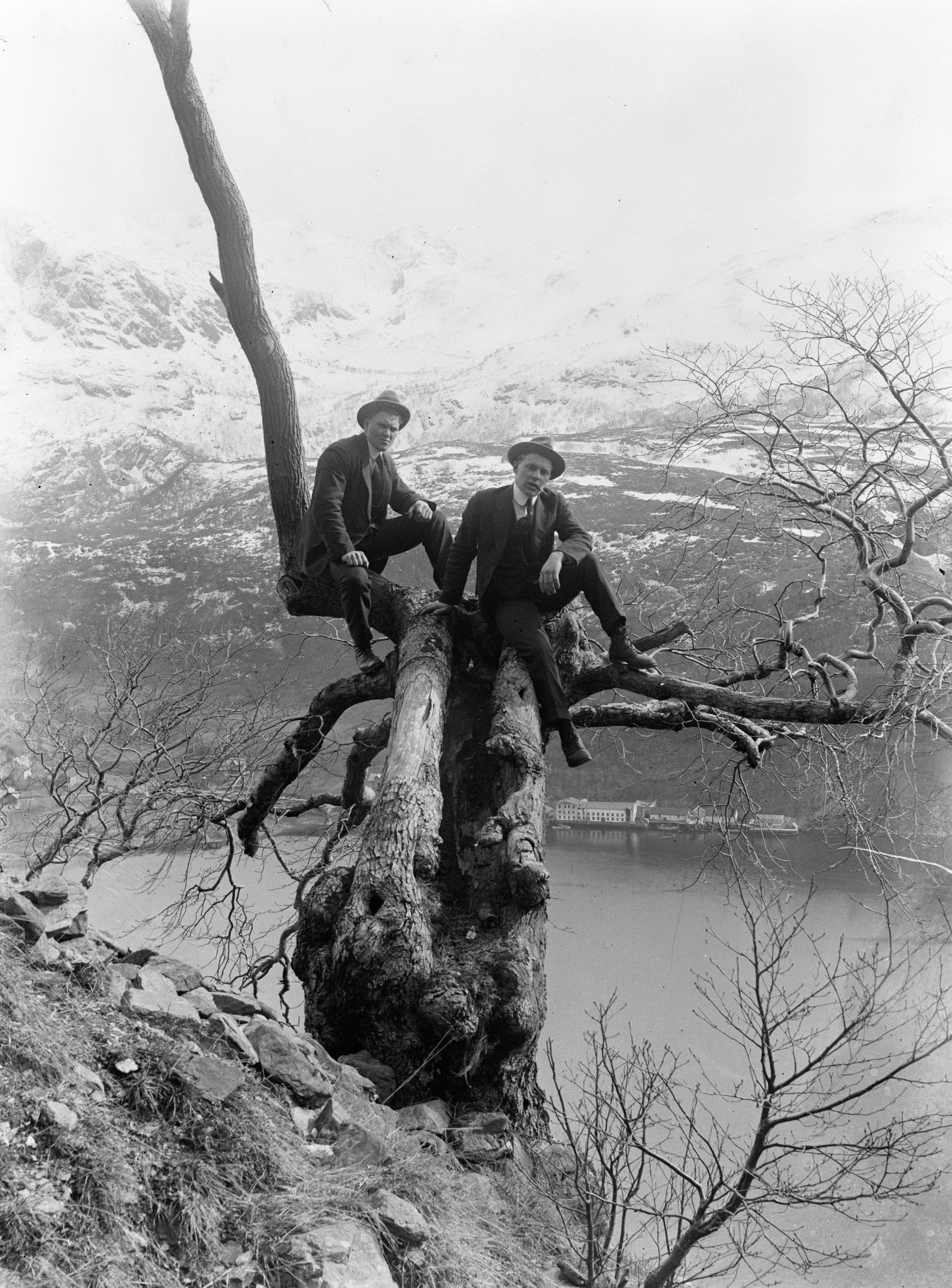 Two Gentlemen on a Weathered Branch Overlooking a Valley Lake