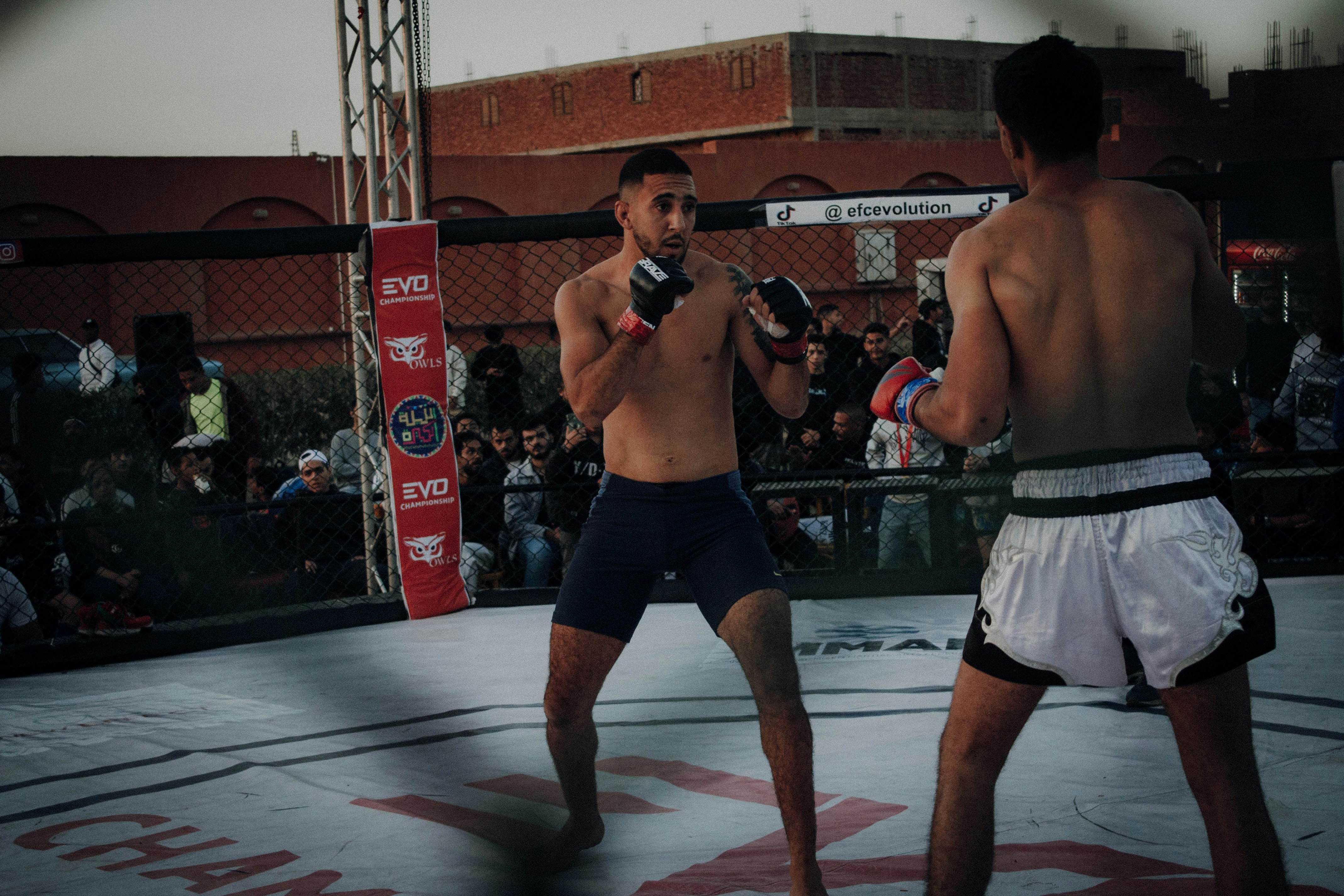 Photo by yousef samuil with Canon EOS 1100D