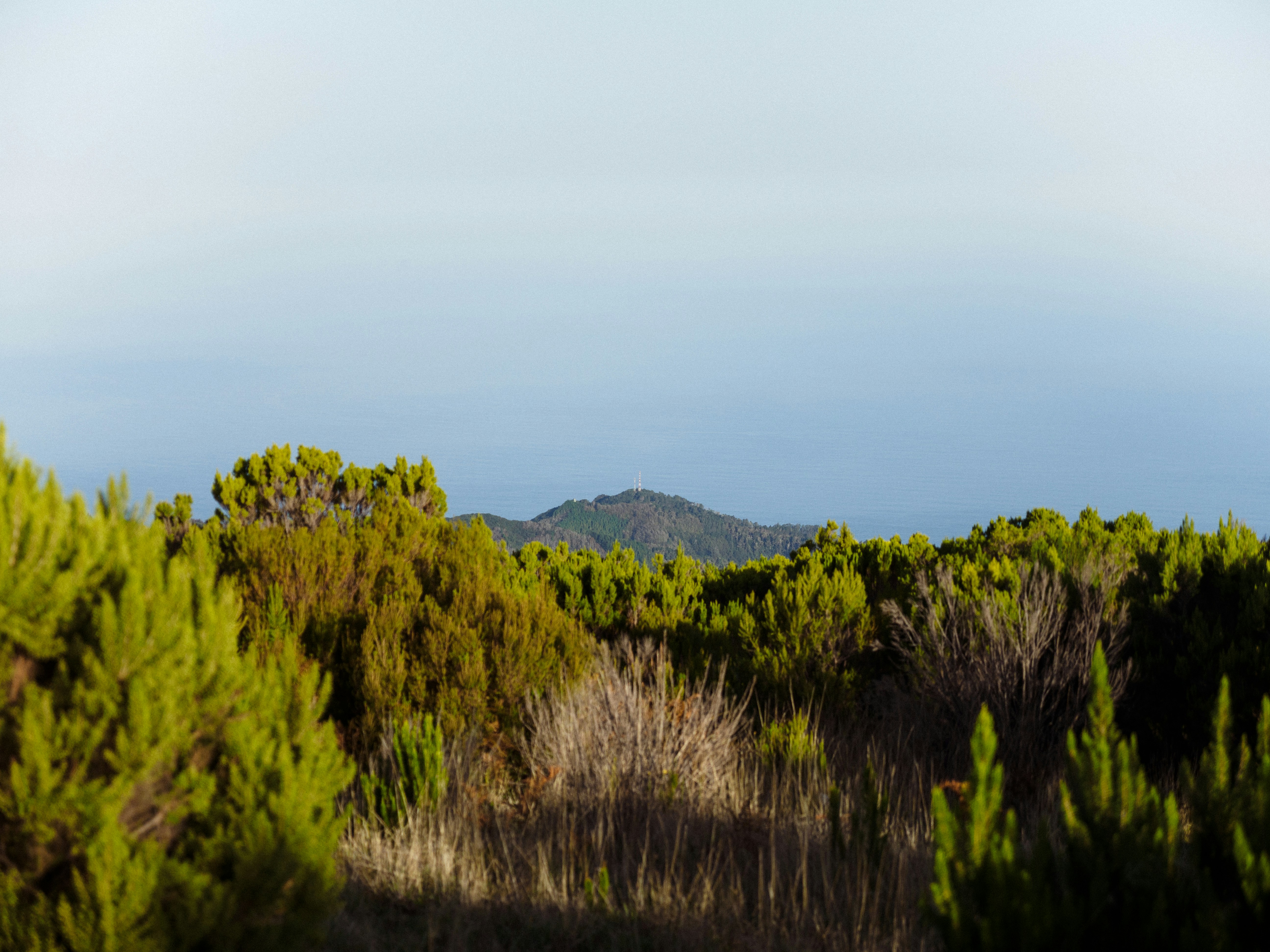 Photo by Igor Savelev with OM System OM-5