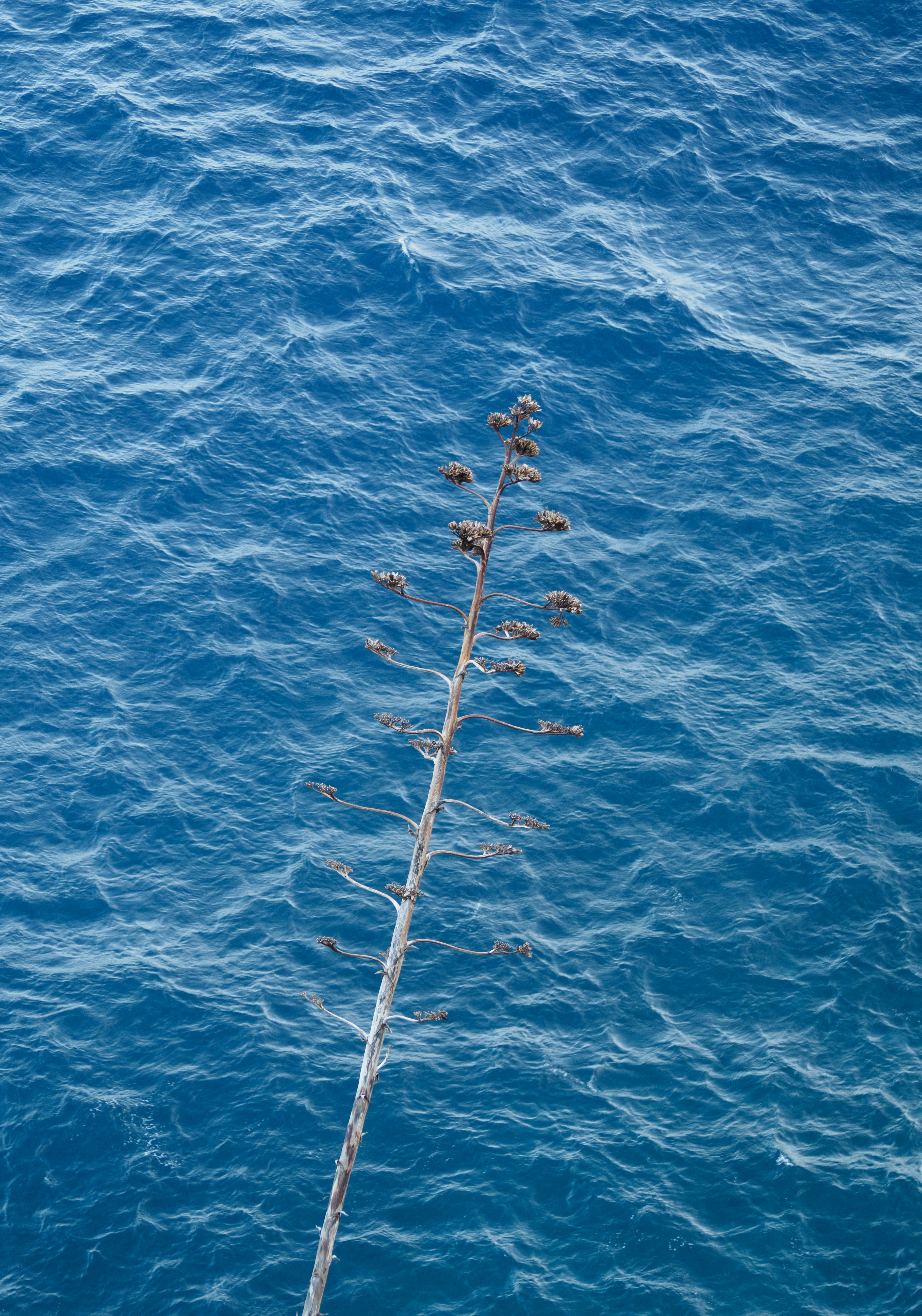 Photo by Igor Savelev with OM System OM-5