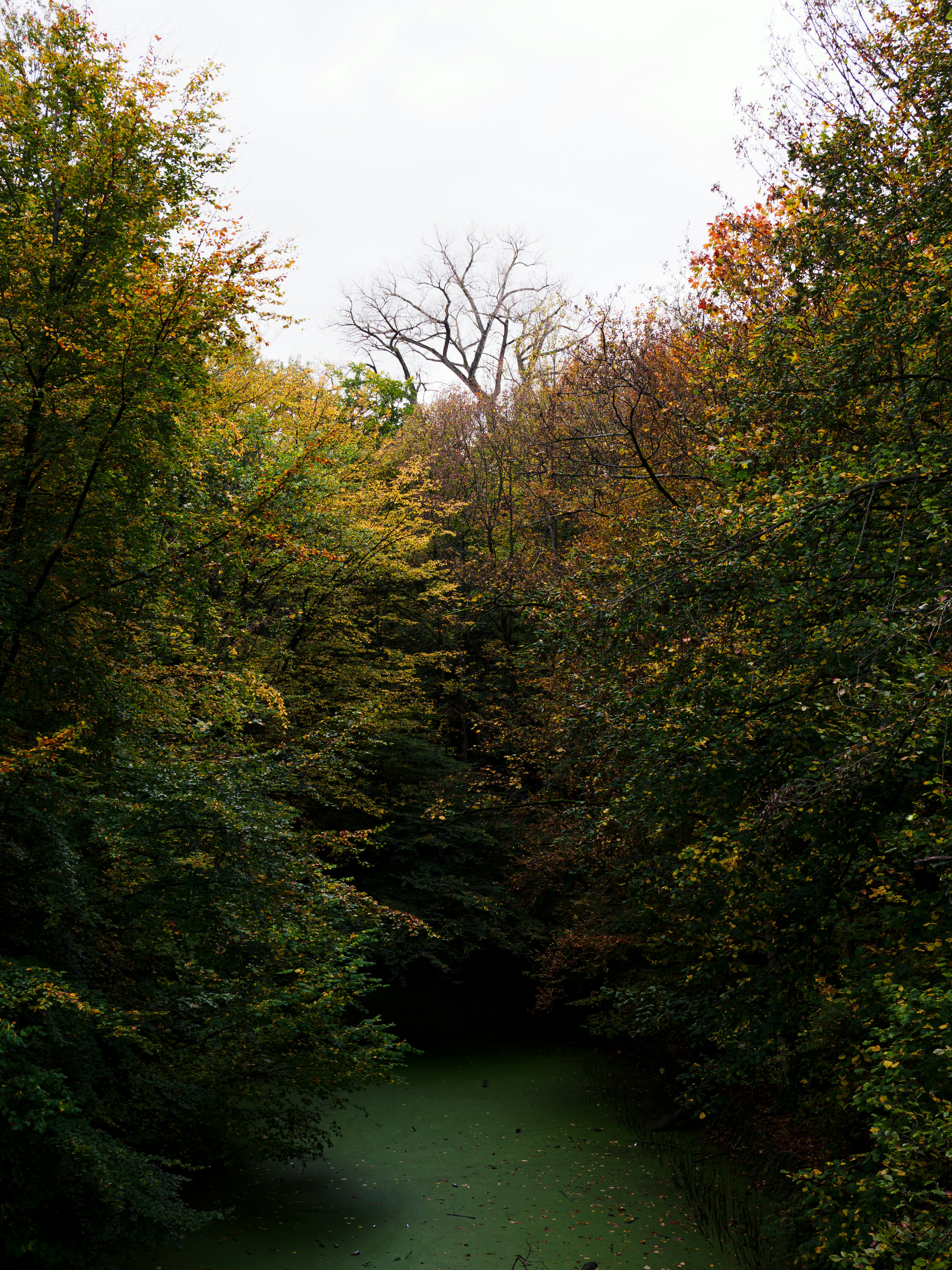 Amber Archway Over a Quiet Green Waterway