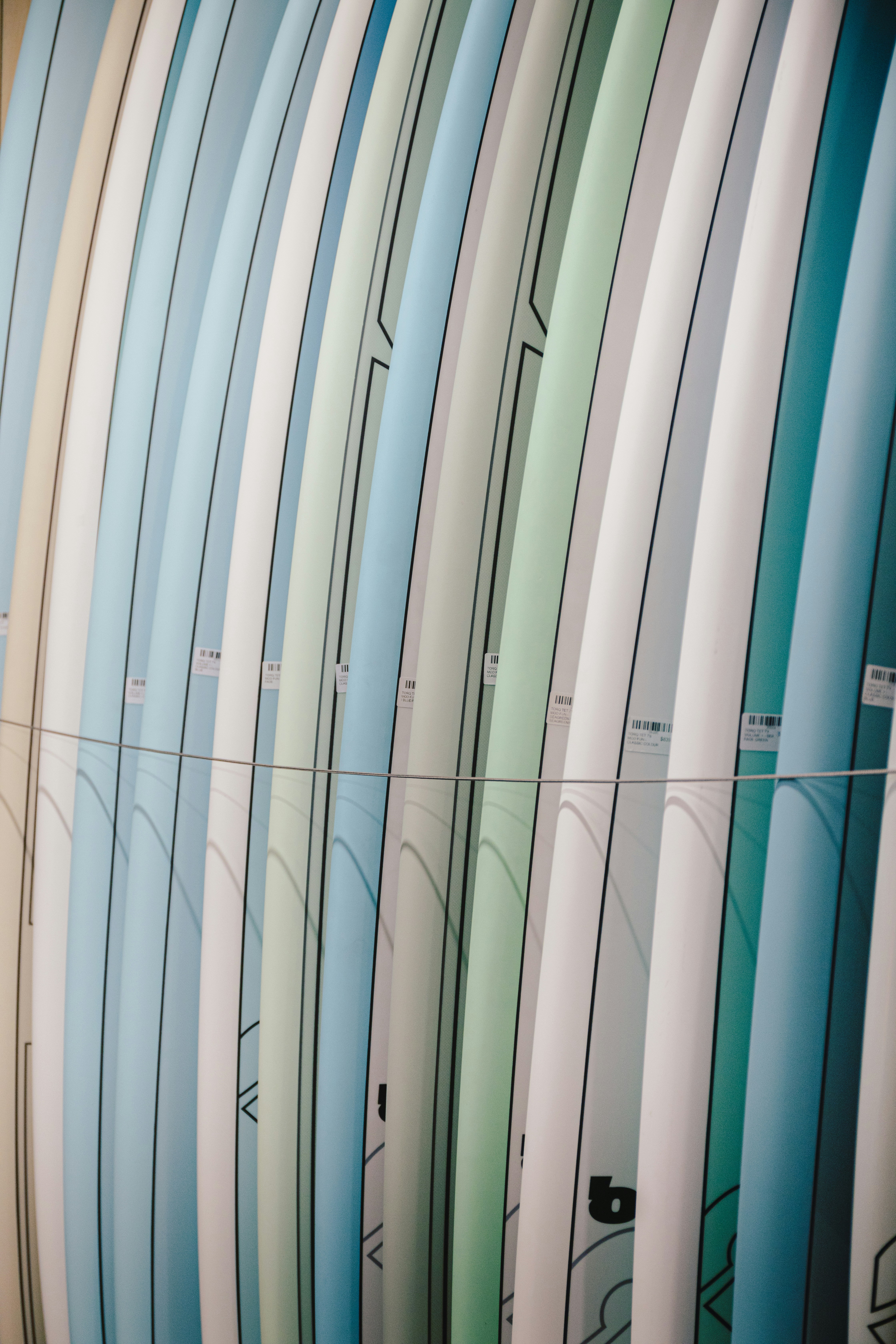 A row of surfboards sitting next to each other photo – Free Raglan ...