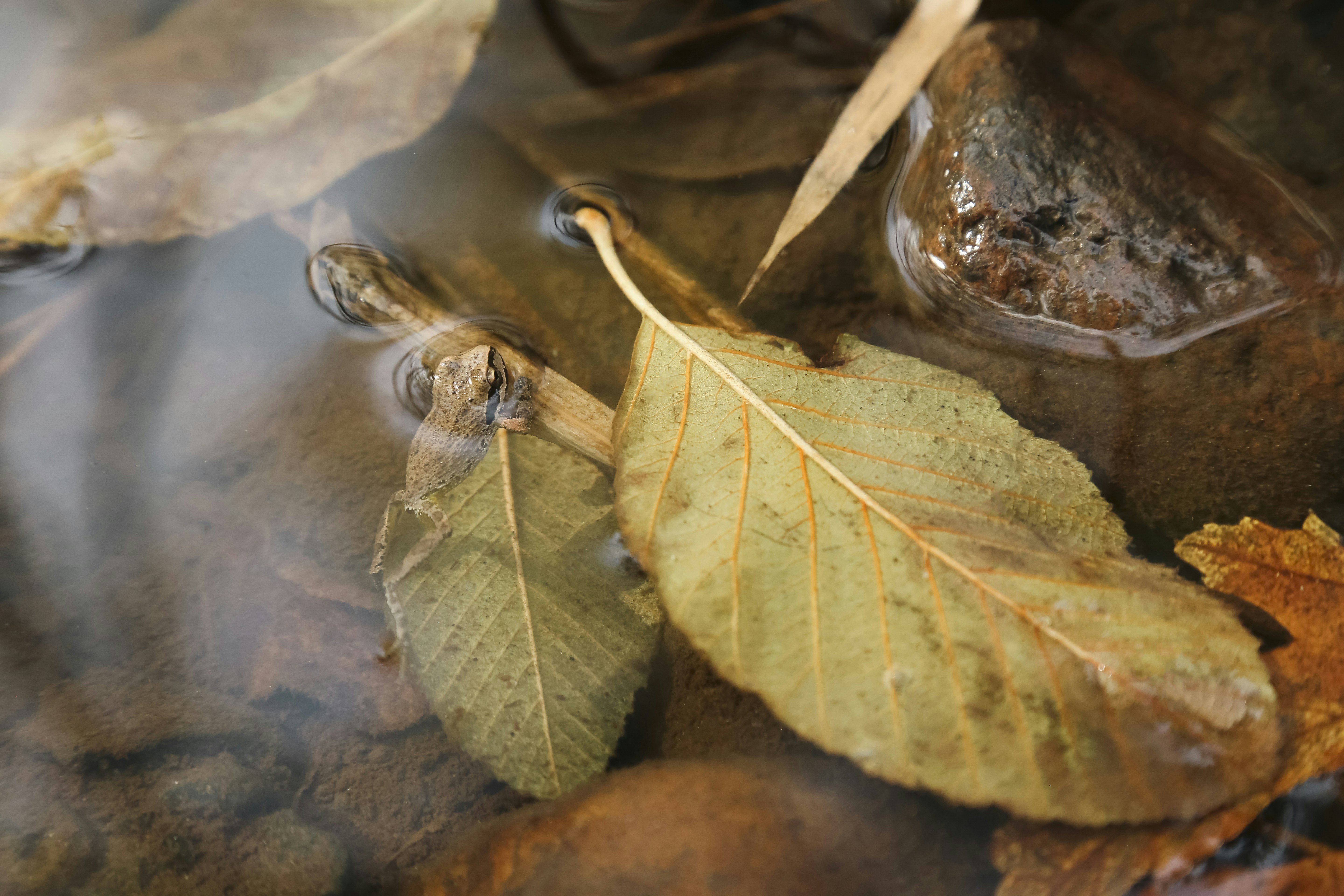 Photo by Giorgio Trovato with Canon EOS 5D Mark III